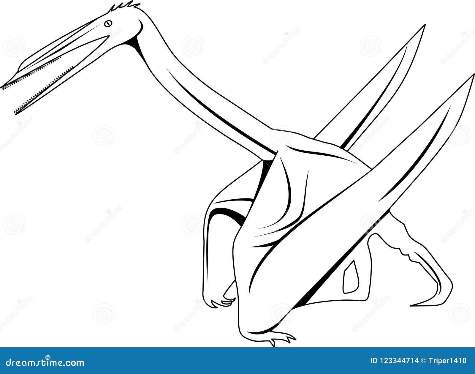 Vector de Elanodactylus ilustración del vector. Ilustración de arte ...