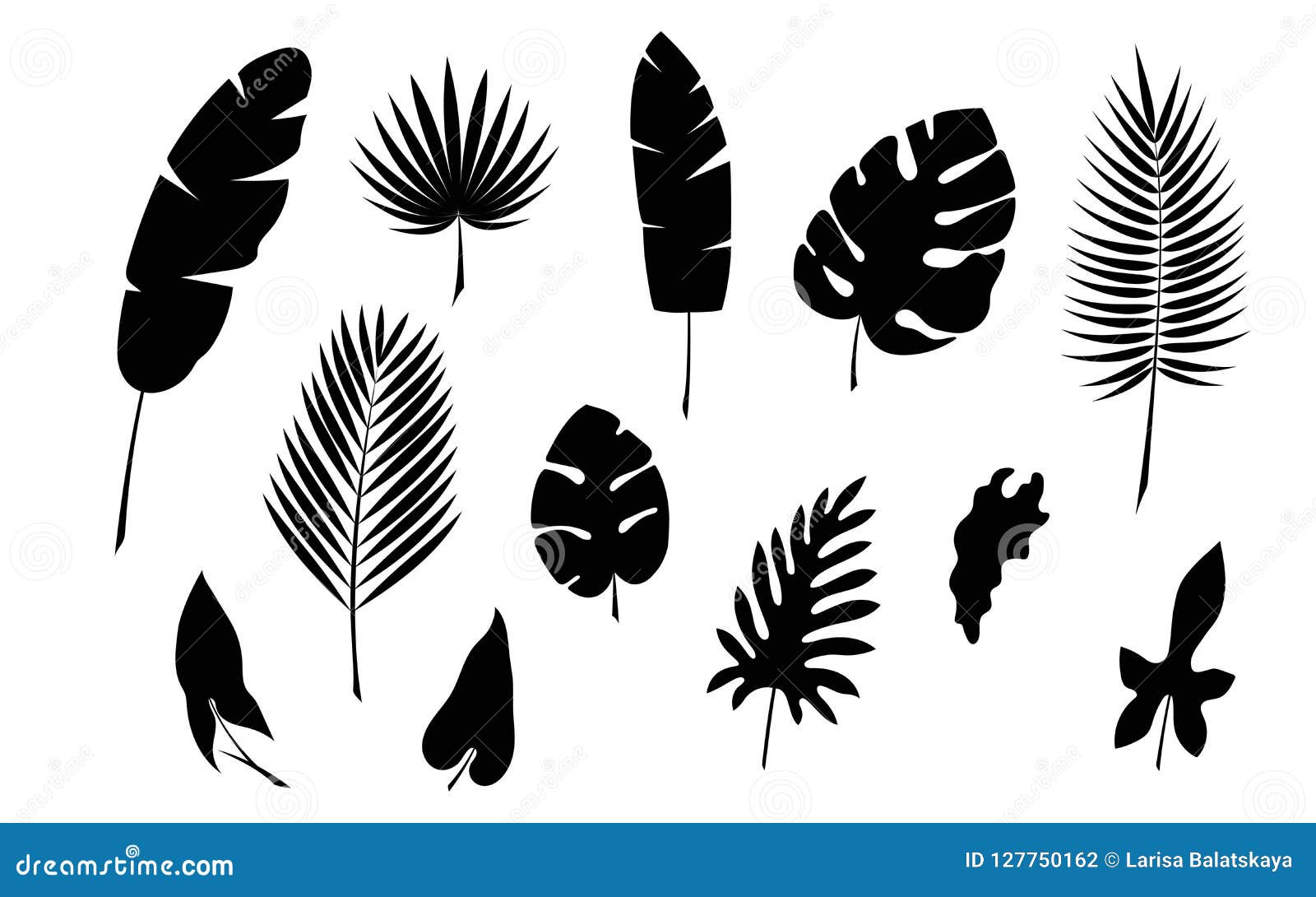 Vector De Hoja De Palma Tropical De La Silueta Ilustración del Vector ...