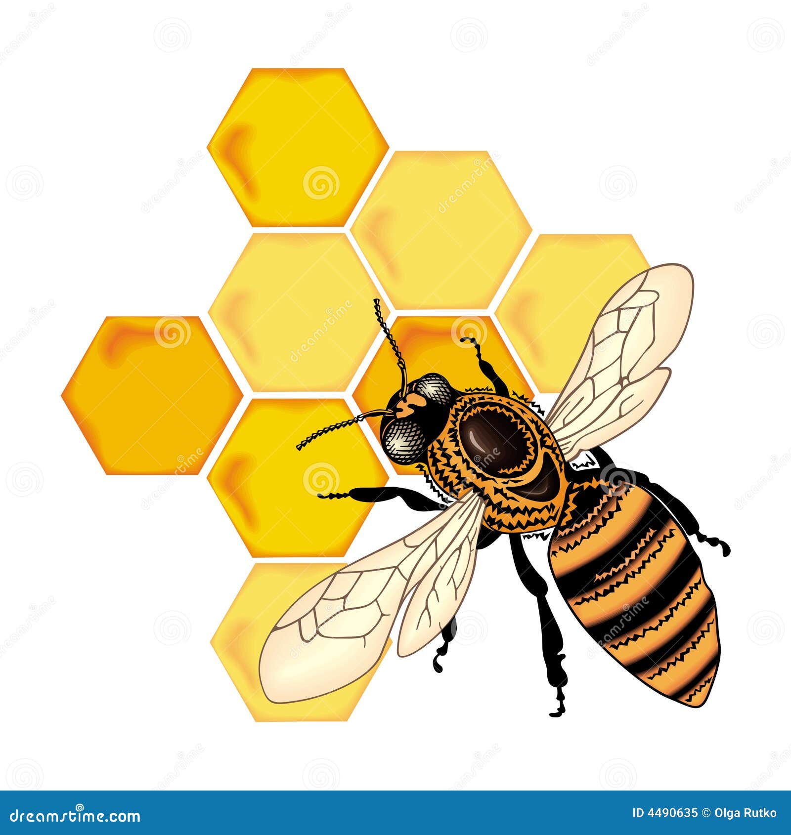 Vector De La Abeja Del Color Ilustración del Vector - Ilustración de ...