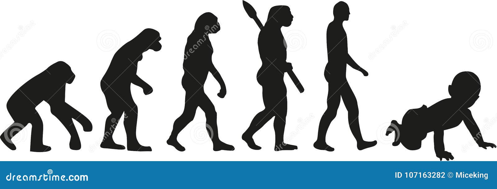 Vector De La Evolución Del Bebé Ilustración del Vector - Ilustración de ...