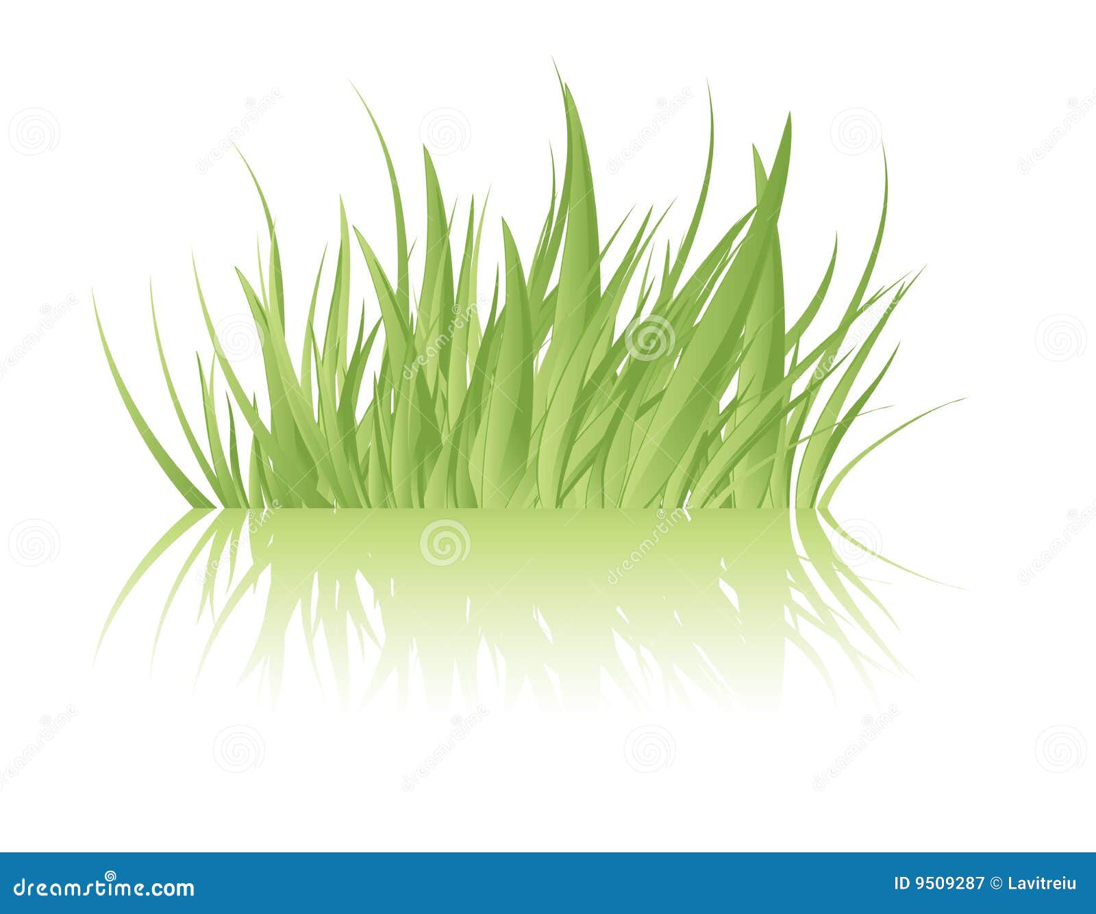 Vector de la hierba verde ilustración del vector. Ilustración de ...