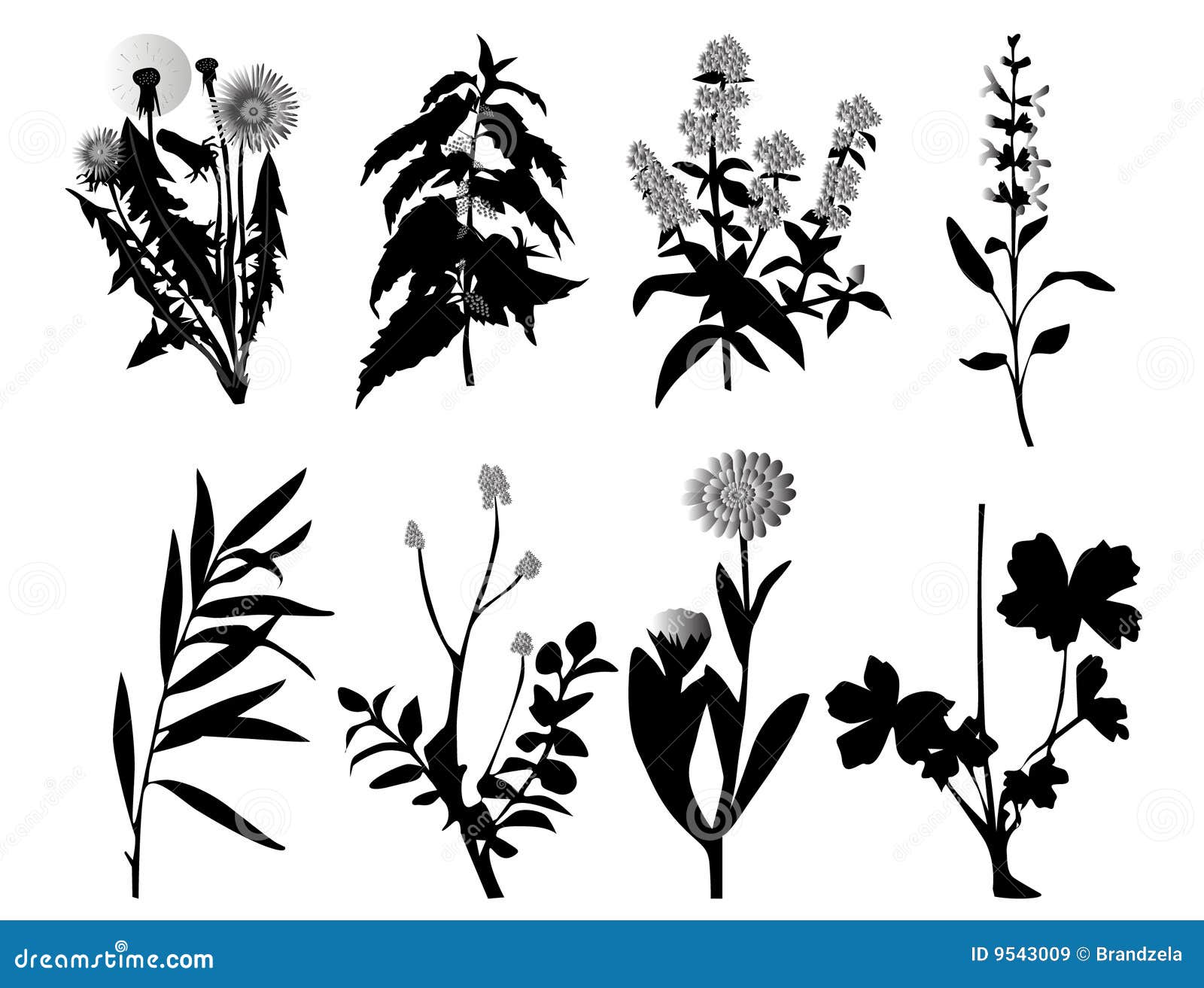 Vector de la planta ilustración del vector. Ilustración de planta - 9543009