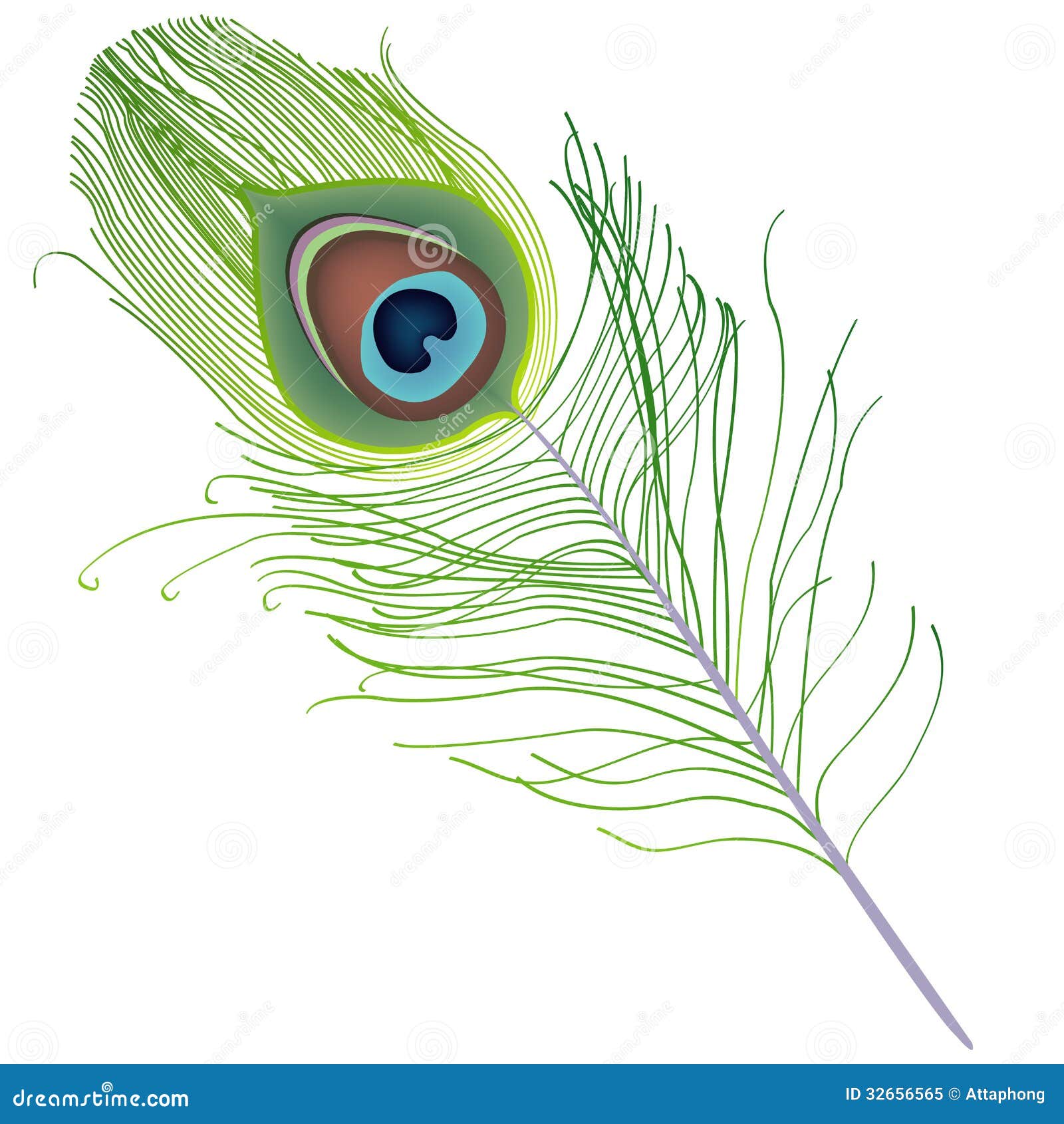 Vector De La Pluma Del Pavo Real Ilustración del Vector - Ilustración ...