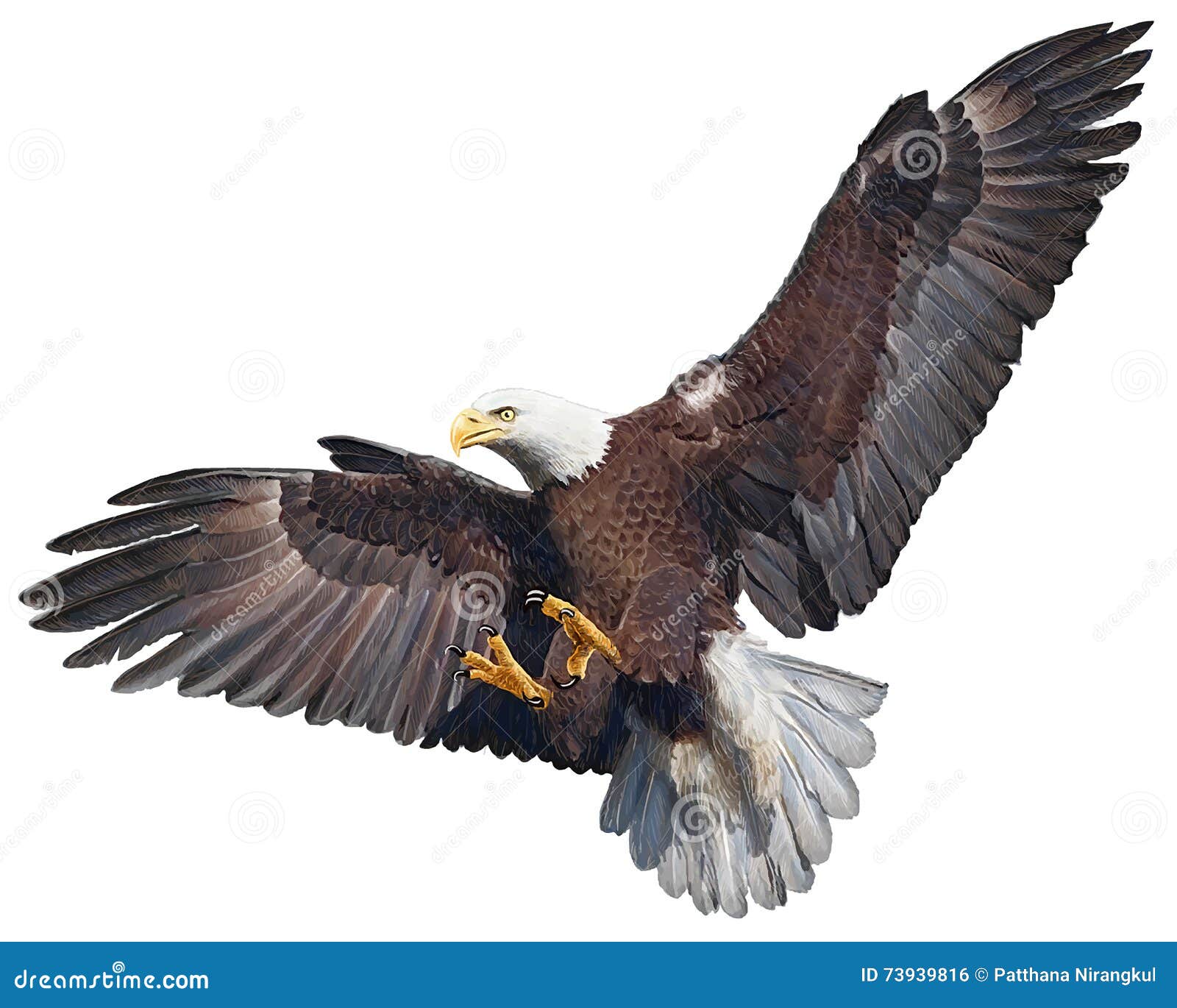 Vector De La Redada Del águila Calva Ilustración del Vector ...