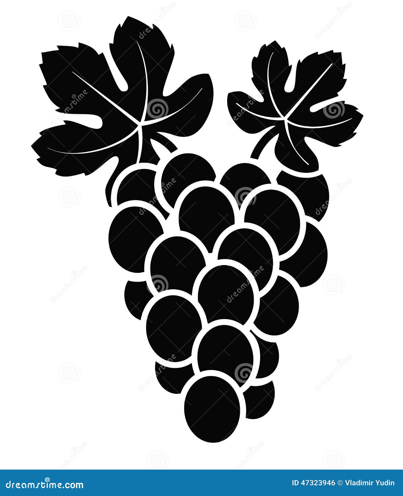 Vector de las uvas ilustración del vector. Ilustración de planta - 47323946