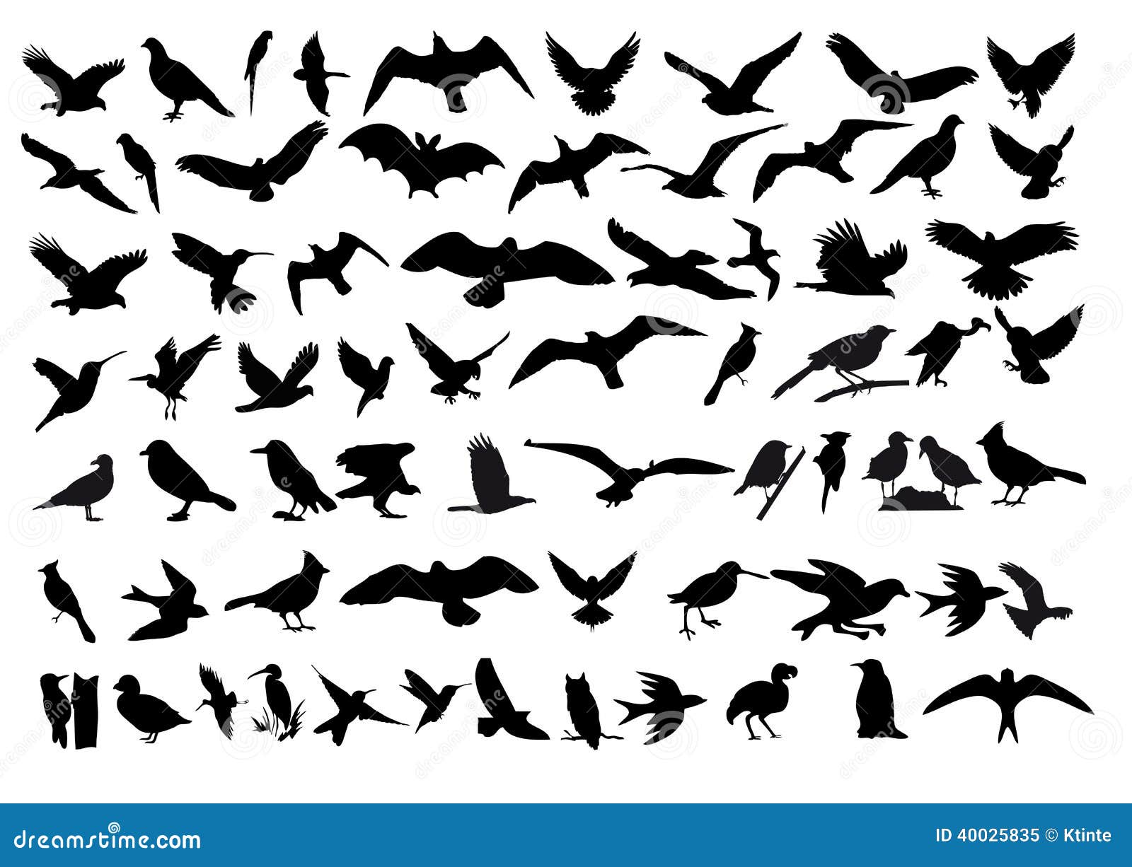 Vector de los pájaros ilustración del vector. Ilustración de muestra ...