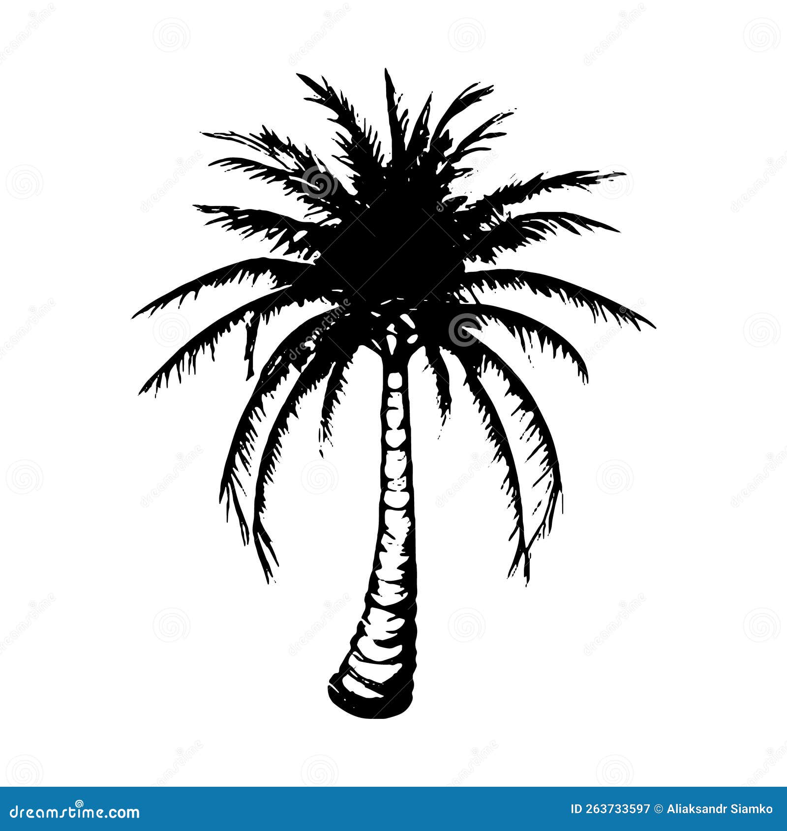 Vector De Palma Dibujado a Mano Ilustración del Vector - Ilustración de ...