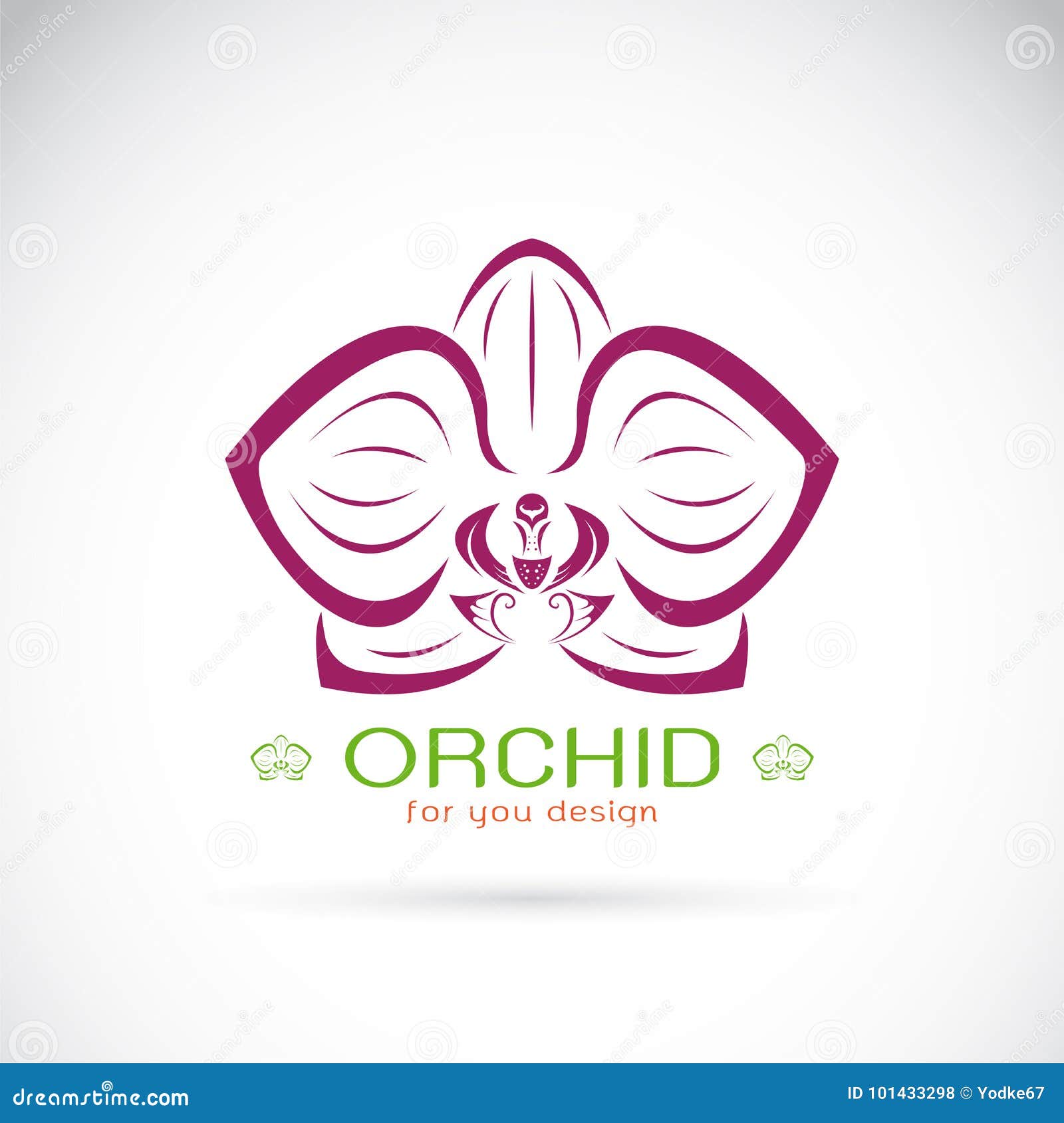Vector De Un Logotipo De La Orquídea En Un Fondo Blanco Ilustración del ...