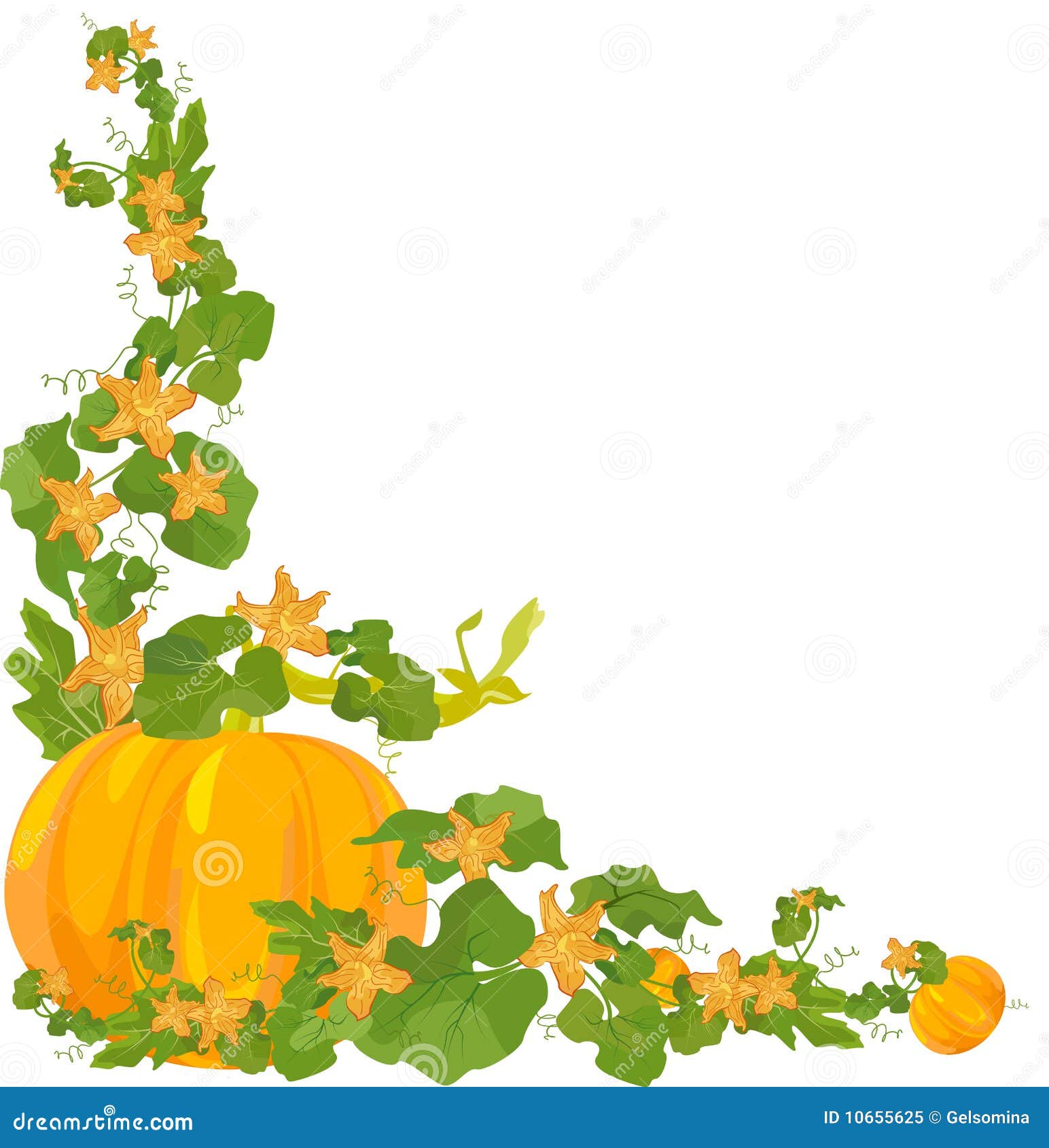 Pumpkins On The Vine Clipart Horizontal