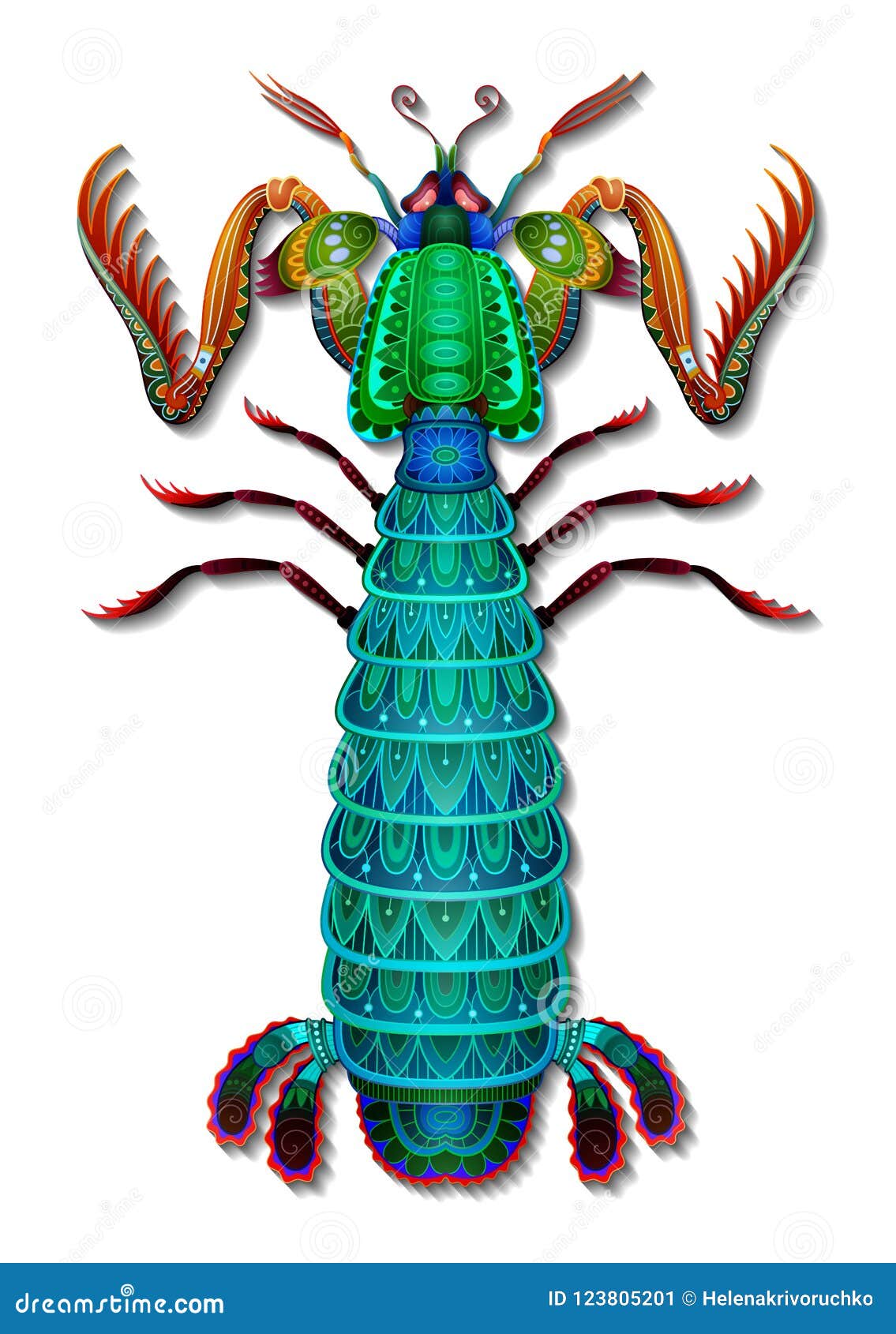 Vector Decorative Mantis Shrimp Stock Vector - Illustration of predator ...