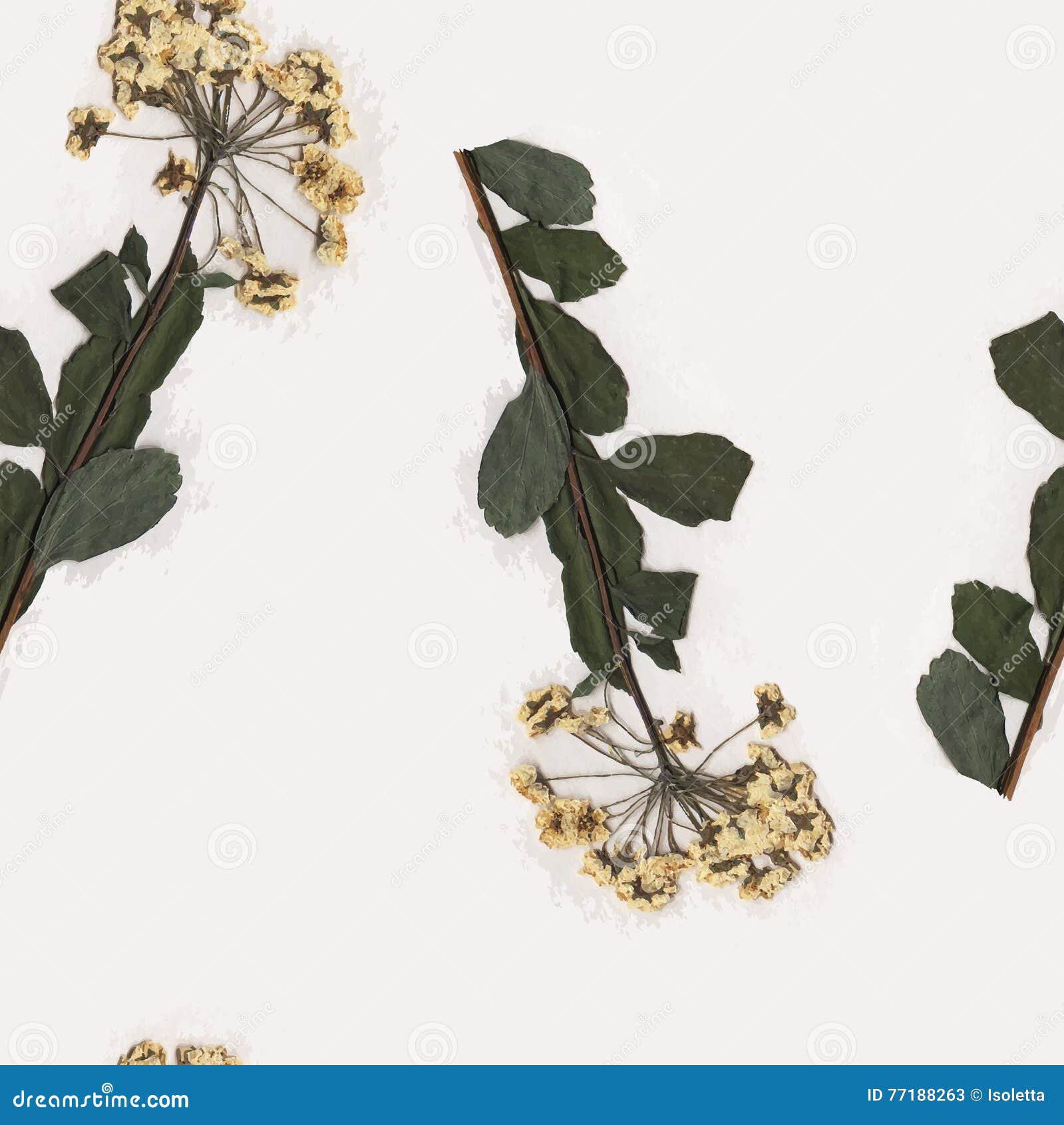 Vector Decorative Seamless Pattern with Dry Flowers Stock Vector ...