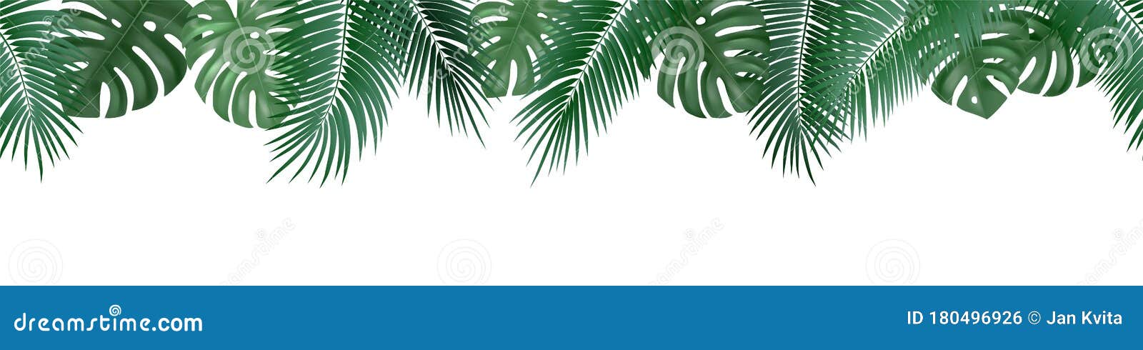 Realistic Palm Leaves And Tropical Plants With Shadow Overlay Effect ...