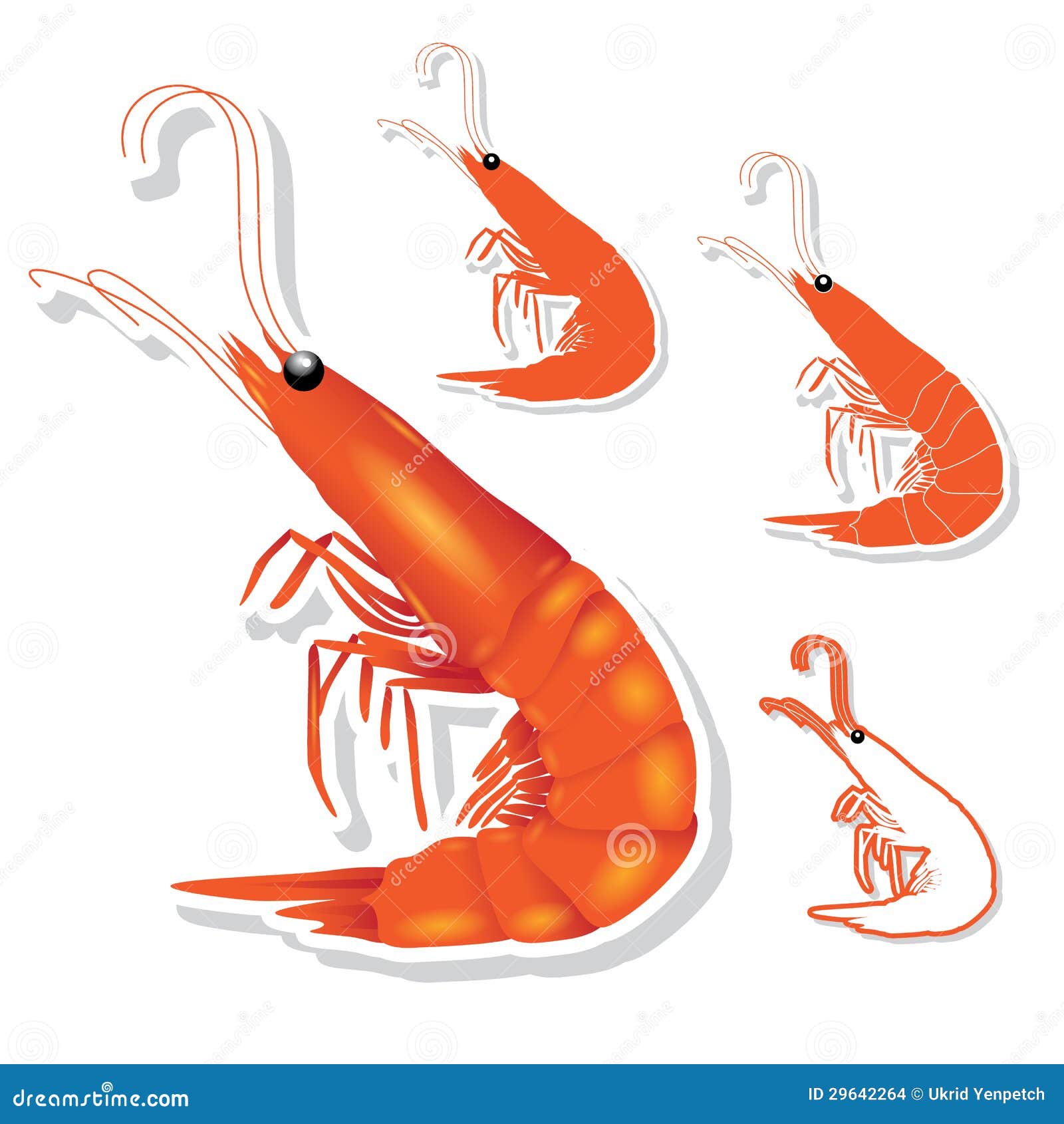 Vector del camarón ilustración del vector. Ilustración de cocinado ...