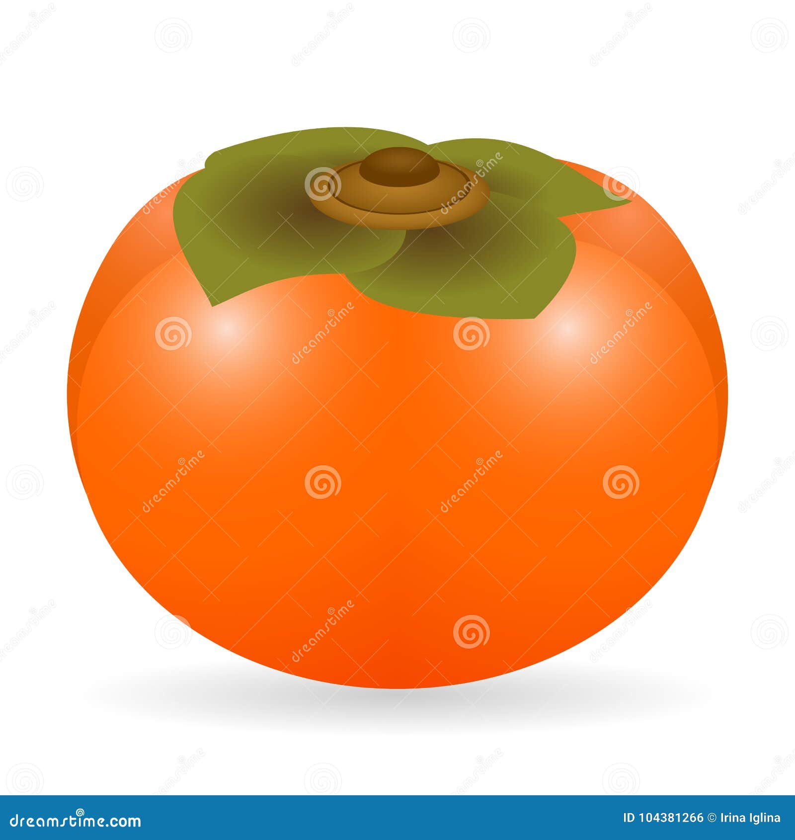 Vector del caqui aislado ilustración del vector. Ilustración de jugoso ...