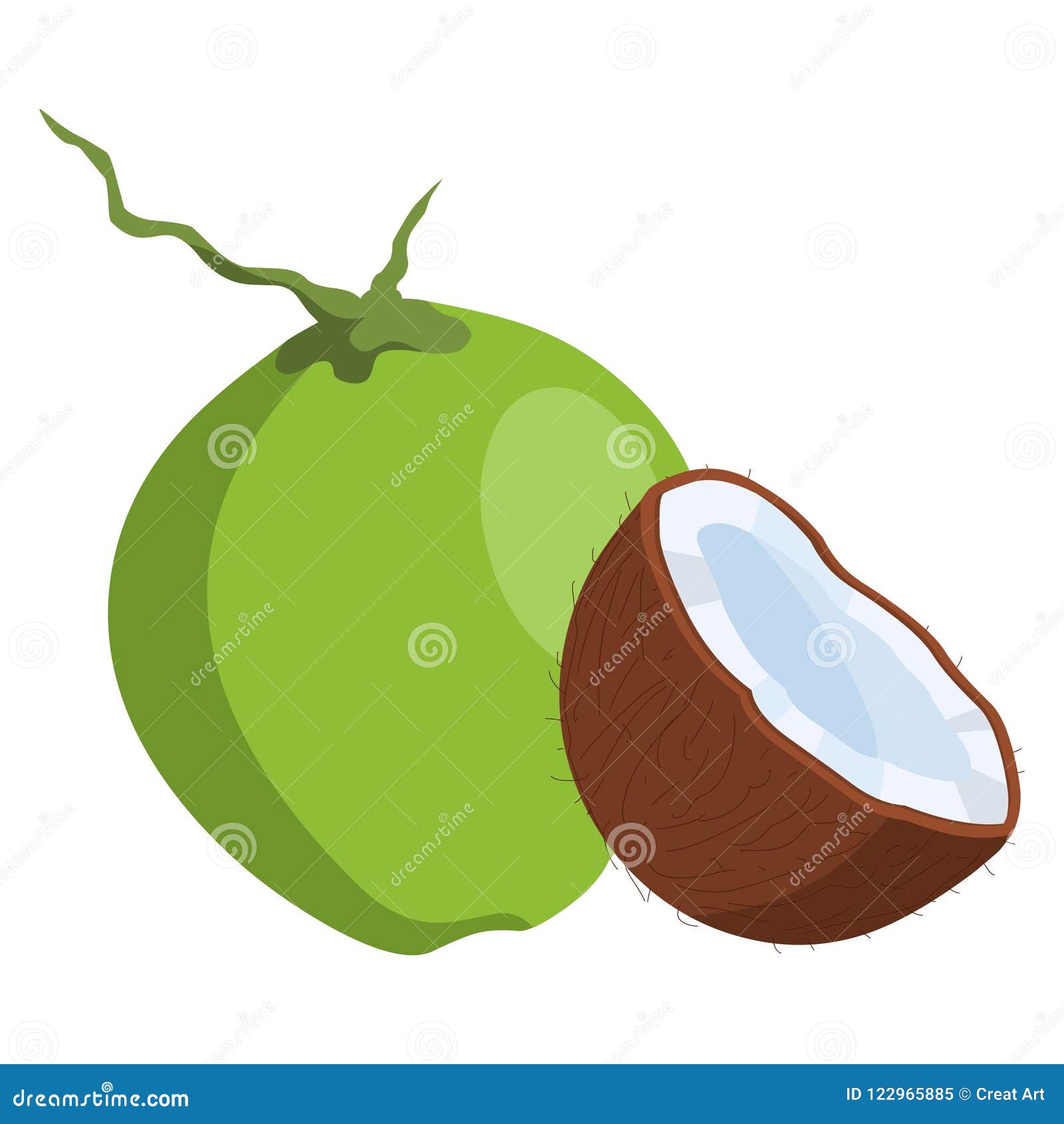 Vector Del Coco Ejemplo Fresco Del Coco Ilustración del Vector ...