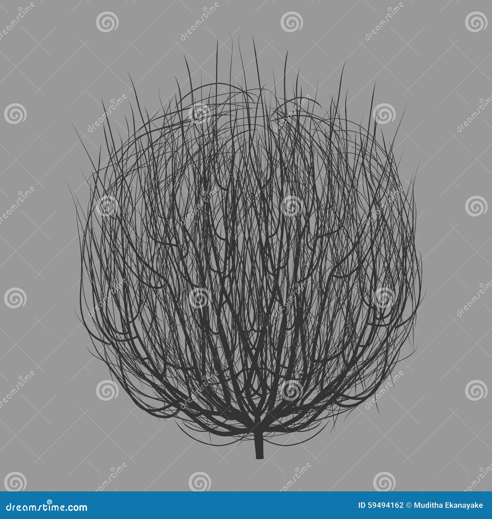 Vector Del Dibujo De La Planta Rodadora Ilustración del Vector ...