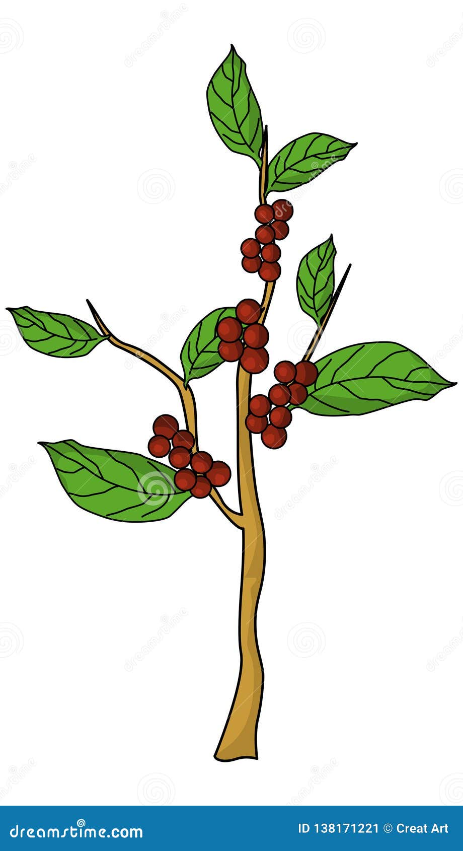 Vector Del Ejemplo De La Planta Del Café Ilustración del Vector ...