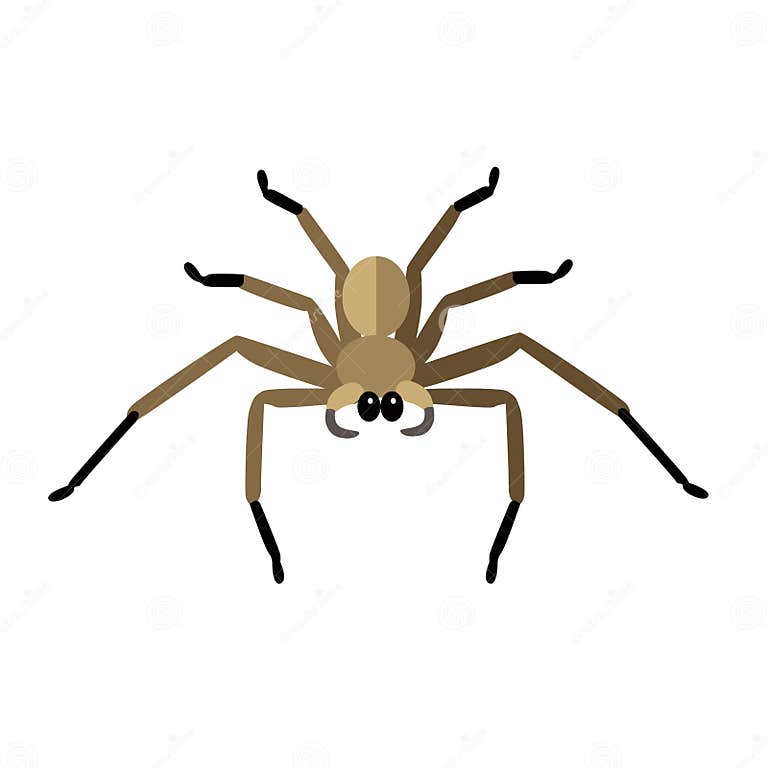 Vector Del Icono De La Araña Ilustración del Vector - Ilustración de ...