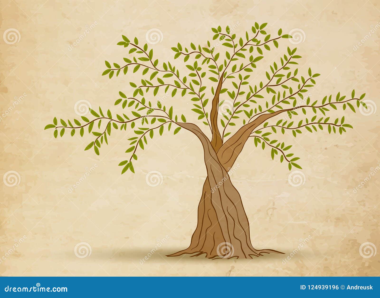 Vector del olivo ilustración del vector. Ilustración de hoja - 124939196