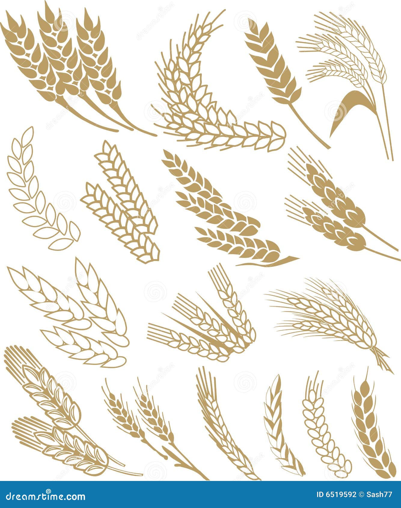 Vector del trigo ilustración del vector. Ilustración de pintura - 6519592