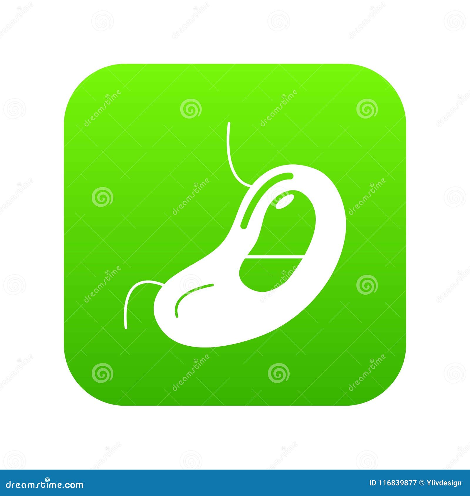 Vector Del Verde Del Icono Del Bazo Ilustración del Vector ...