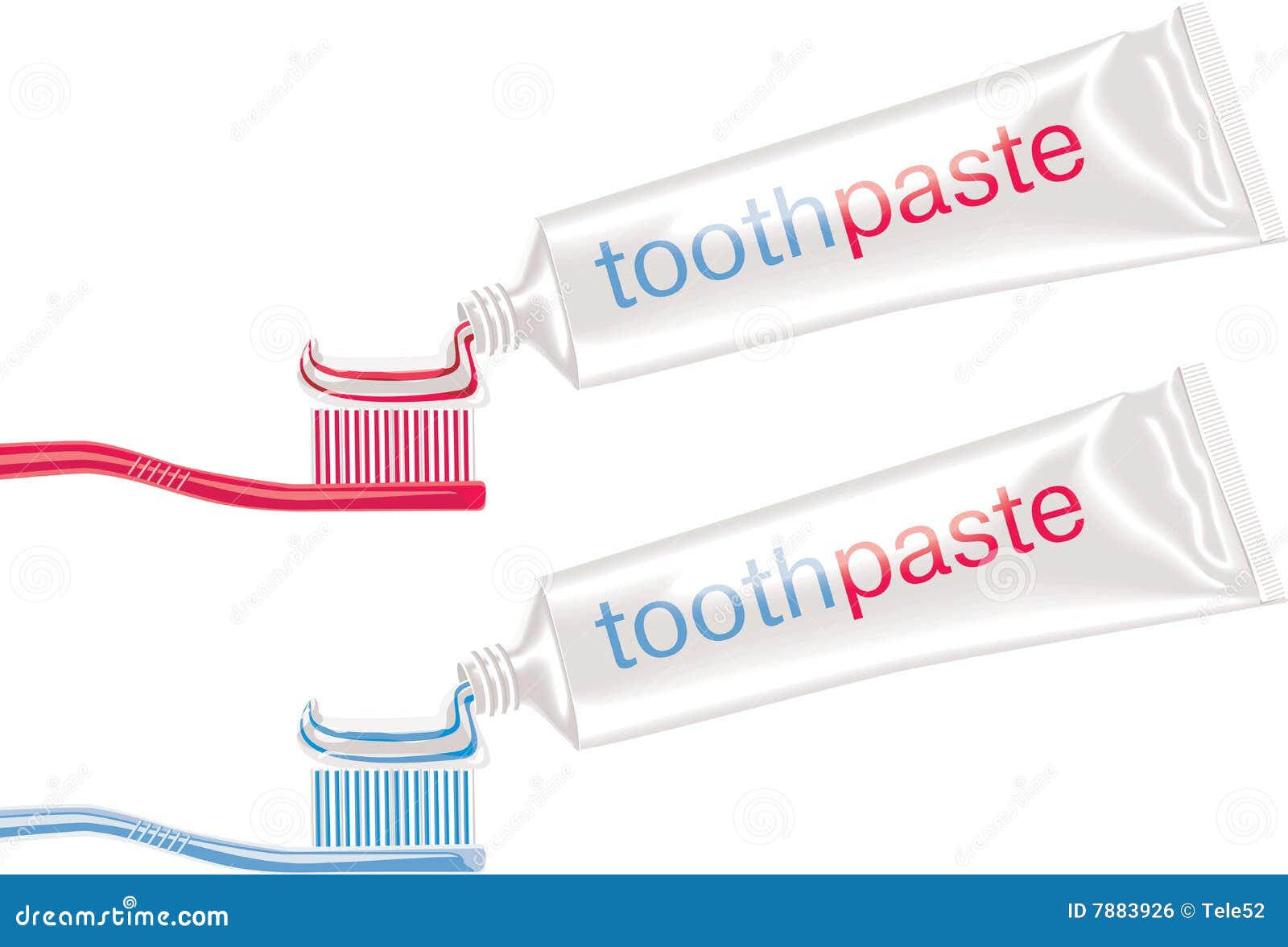 Vector Dental Anatomy And Tooth Structure Diagram | CartoonDealer.com ...