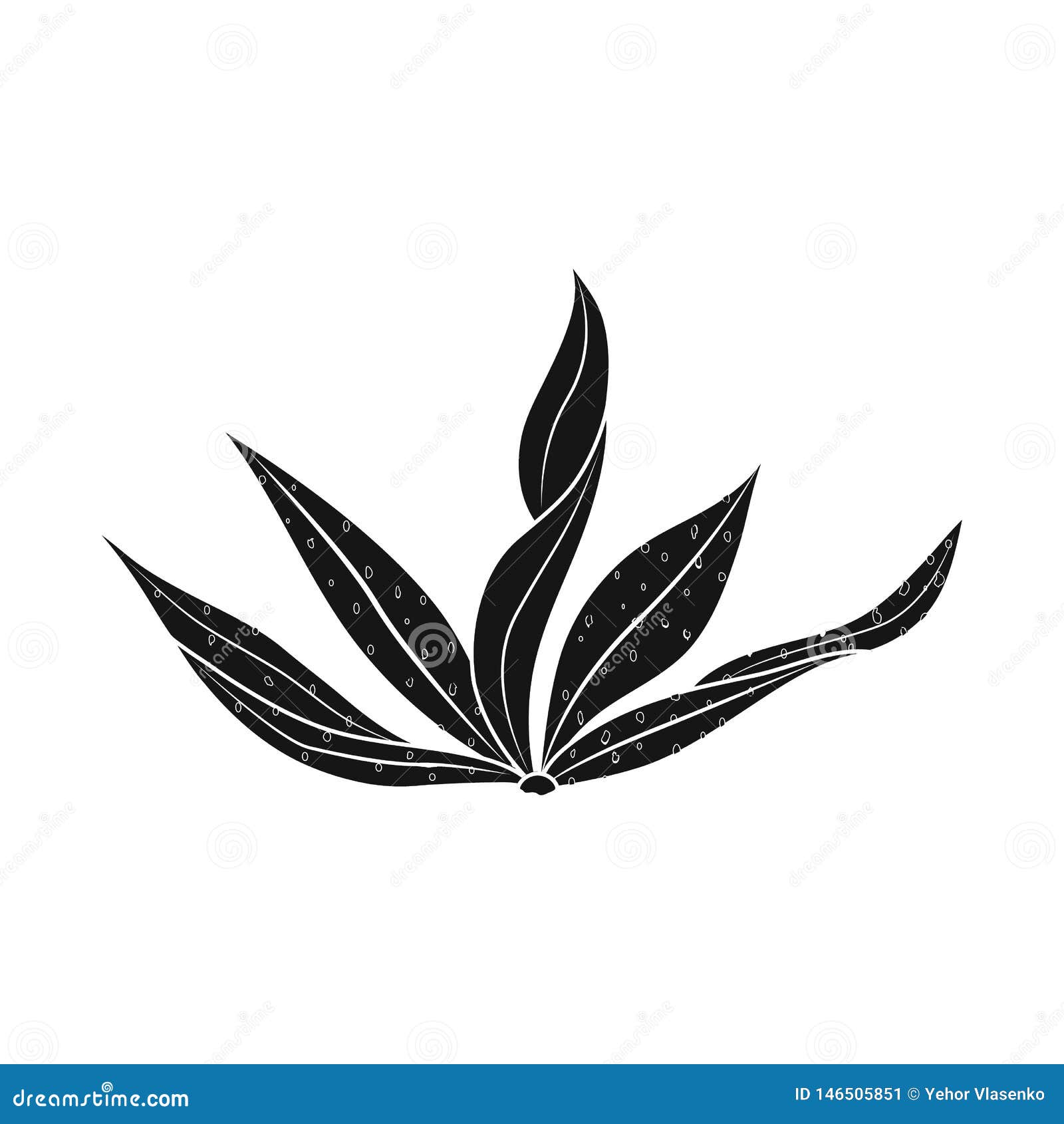 Isolated Object of Algae and Healthy Logo. Set of Algae and Aquarium ...