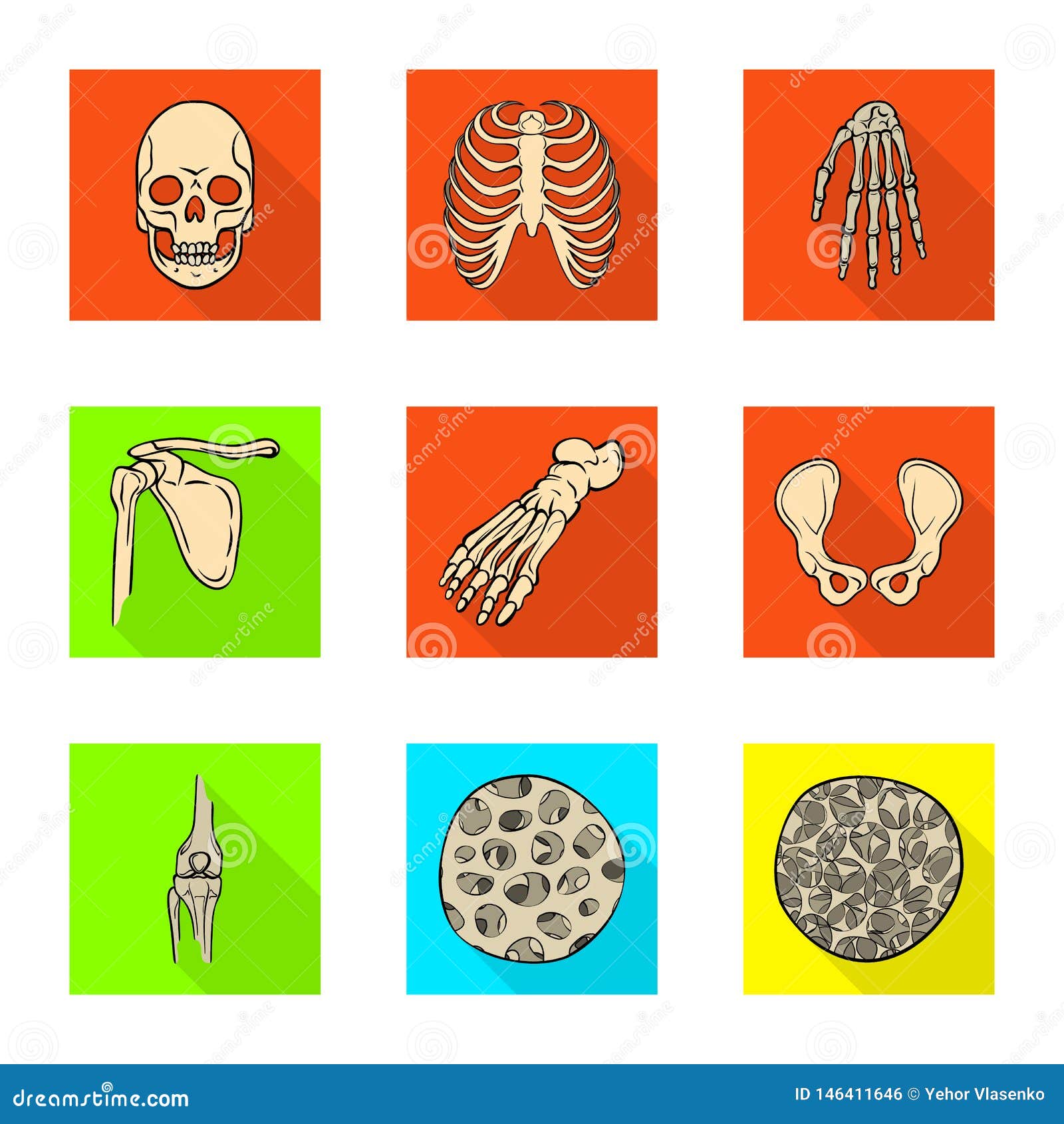 Isolated Object of Bone and Skeleton Icon. Collection of Bone and Human ...