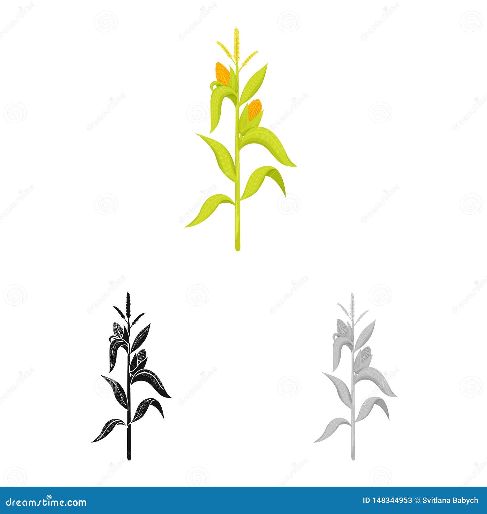 Vector Design of Corn and Stalk Logo. Collection of Corn and Field ...