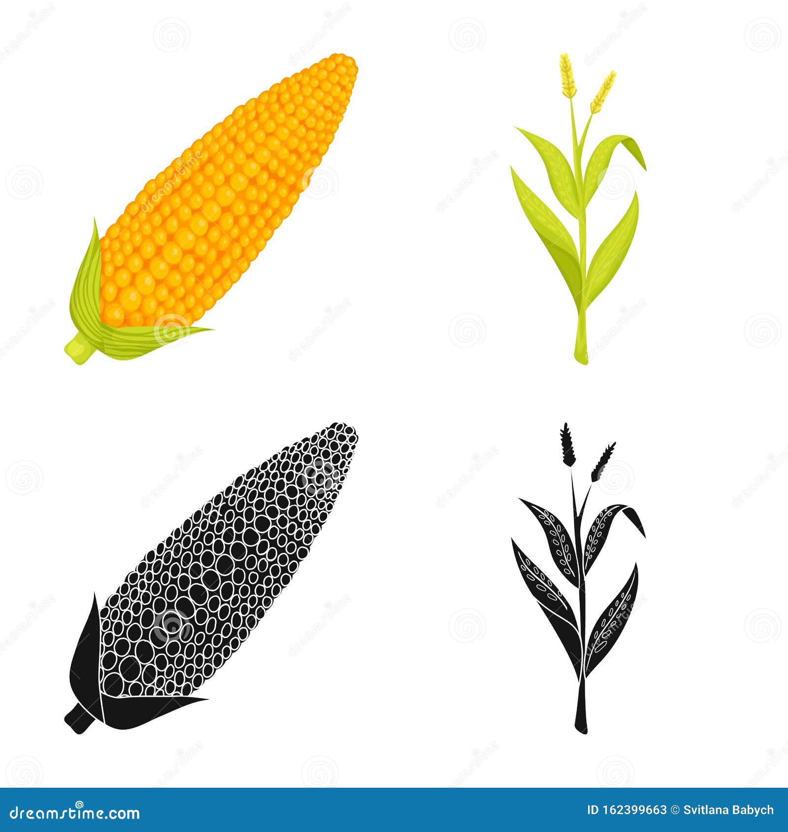 Vector Design of Cornfield and Vegetable Sign. Set of Cornfield and ...