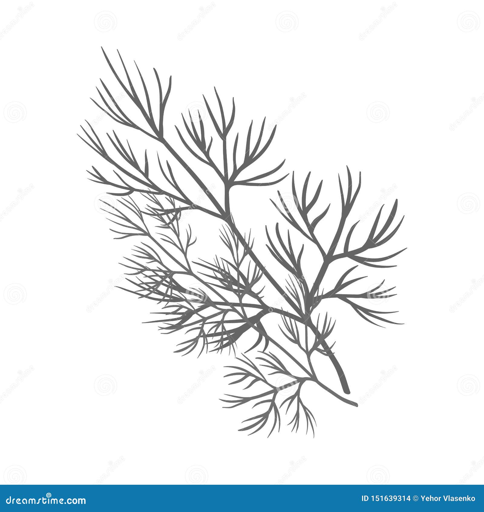 Vector Design of Dill and Greenery Logo. Collection of Dill and ...