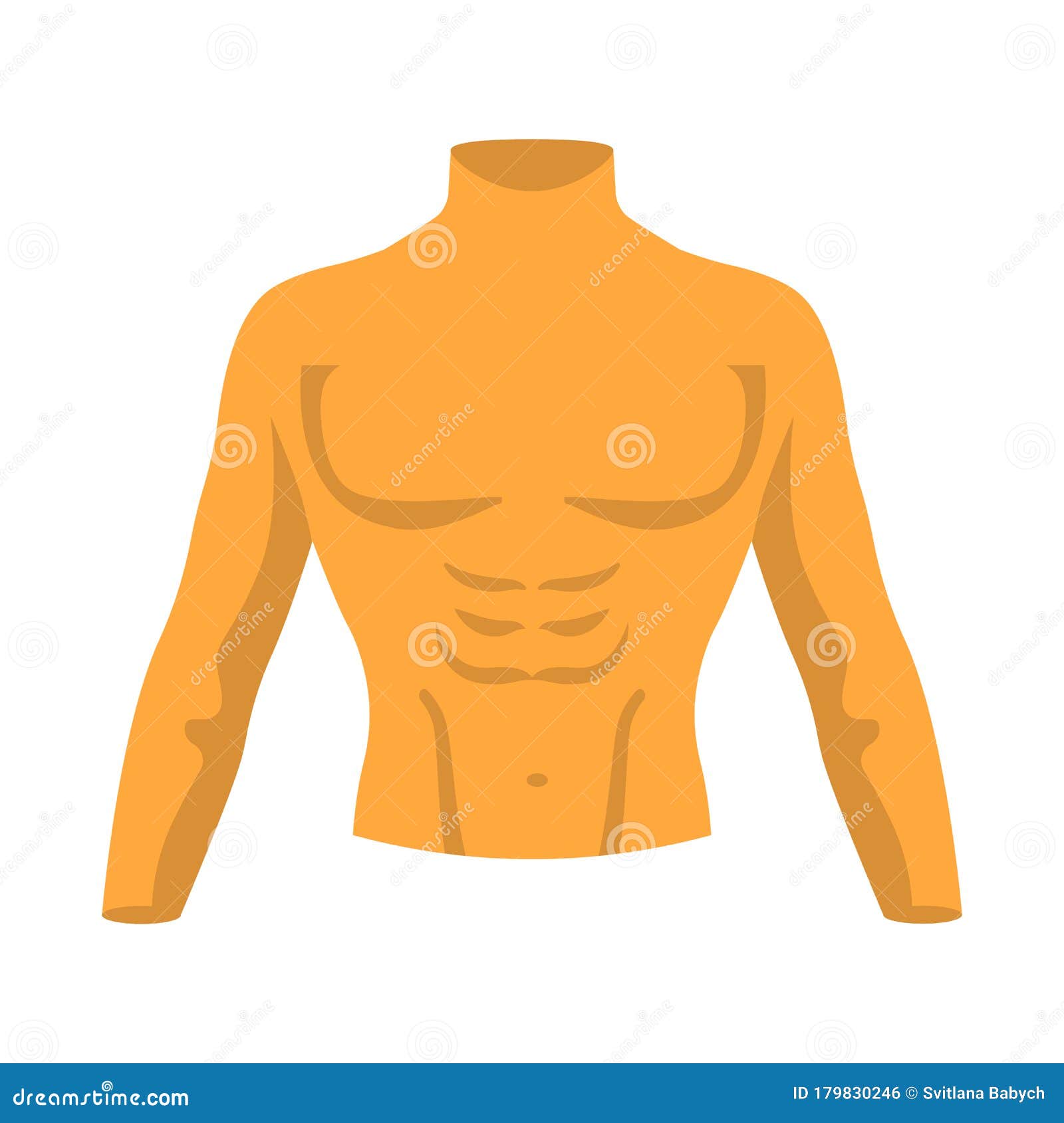 Torso, Male Body Part Vector Illustration On A White Background ...