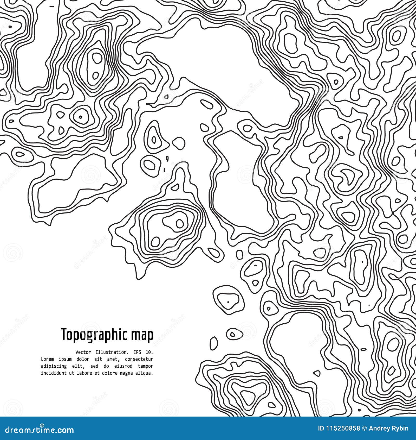 Vector topography map stock vector. Illustration of area - 115250858