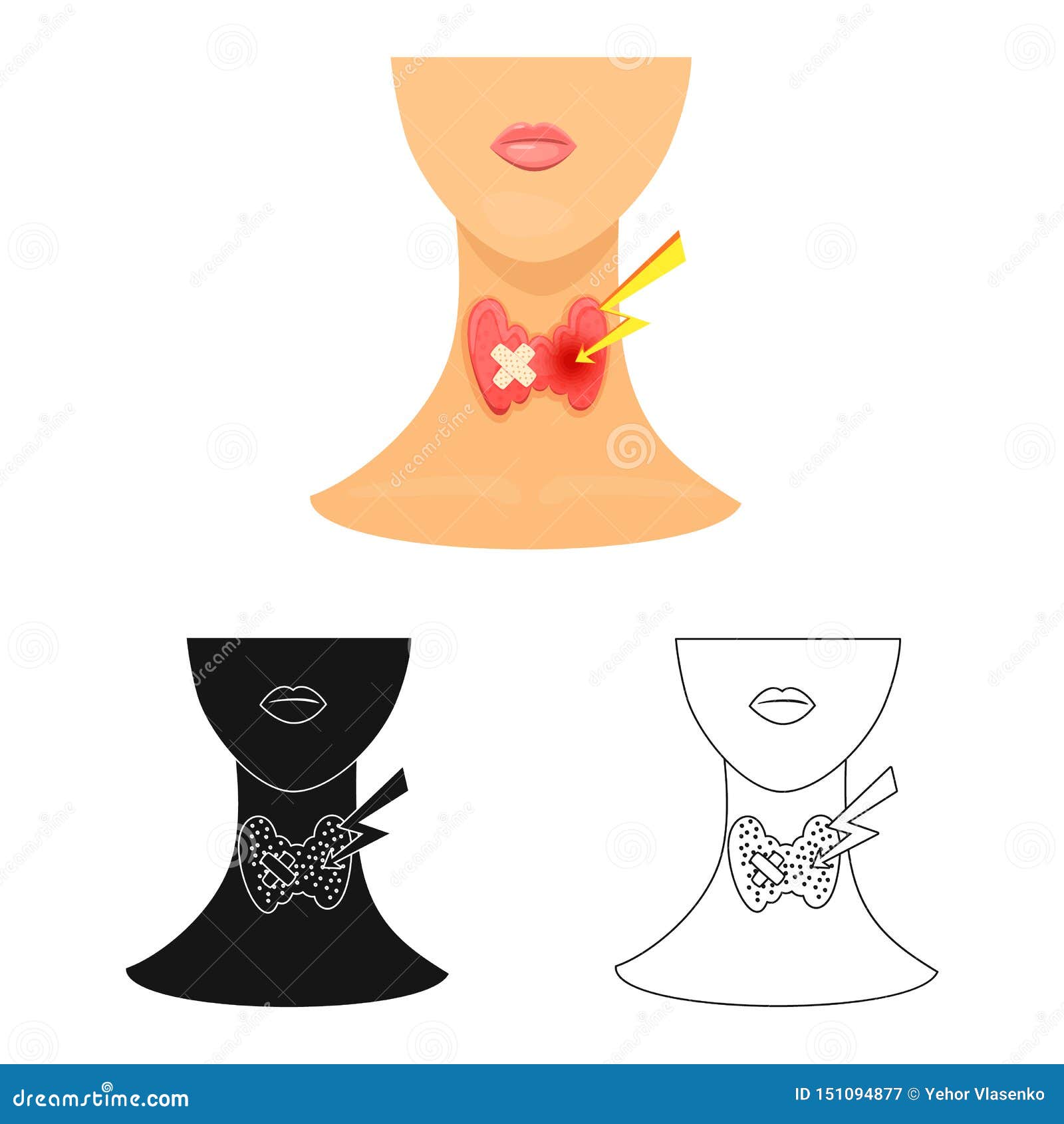 Isolated Object of Endocrine and System Icon. Collection of Endocrine ...