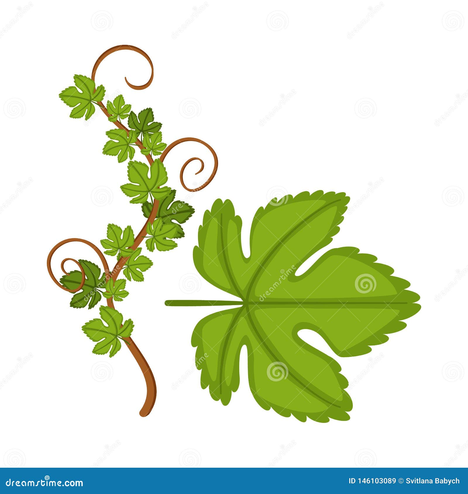Vector Design of Grape and Leaf Logo. Set of Grape and Texture Stock ...