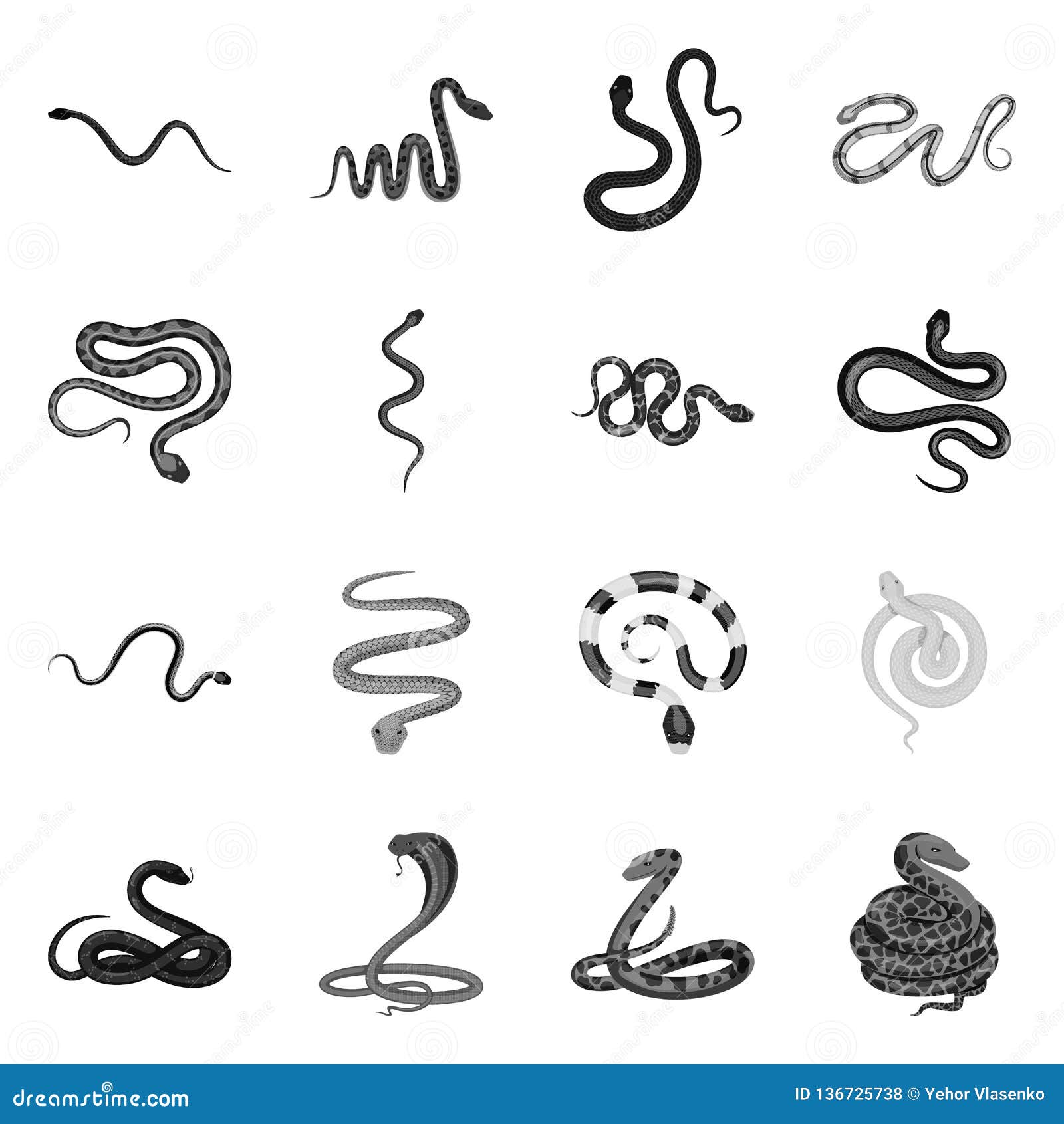 Isolated Object Of Harm And Bite Symbol. Collection Of Harm And Reptile ...