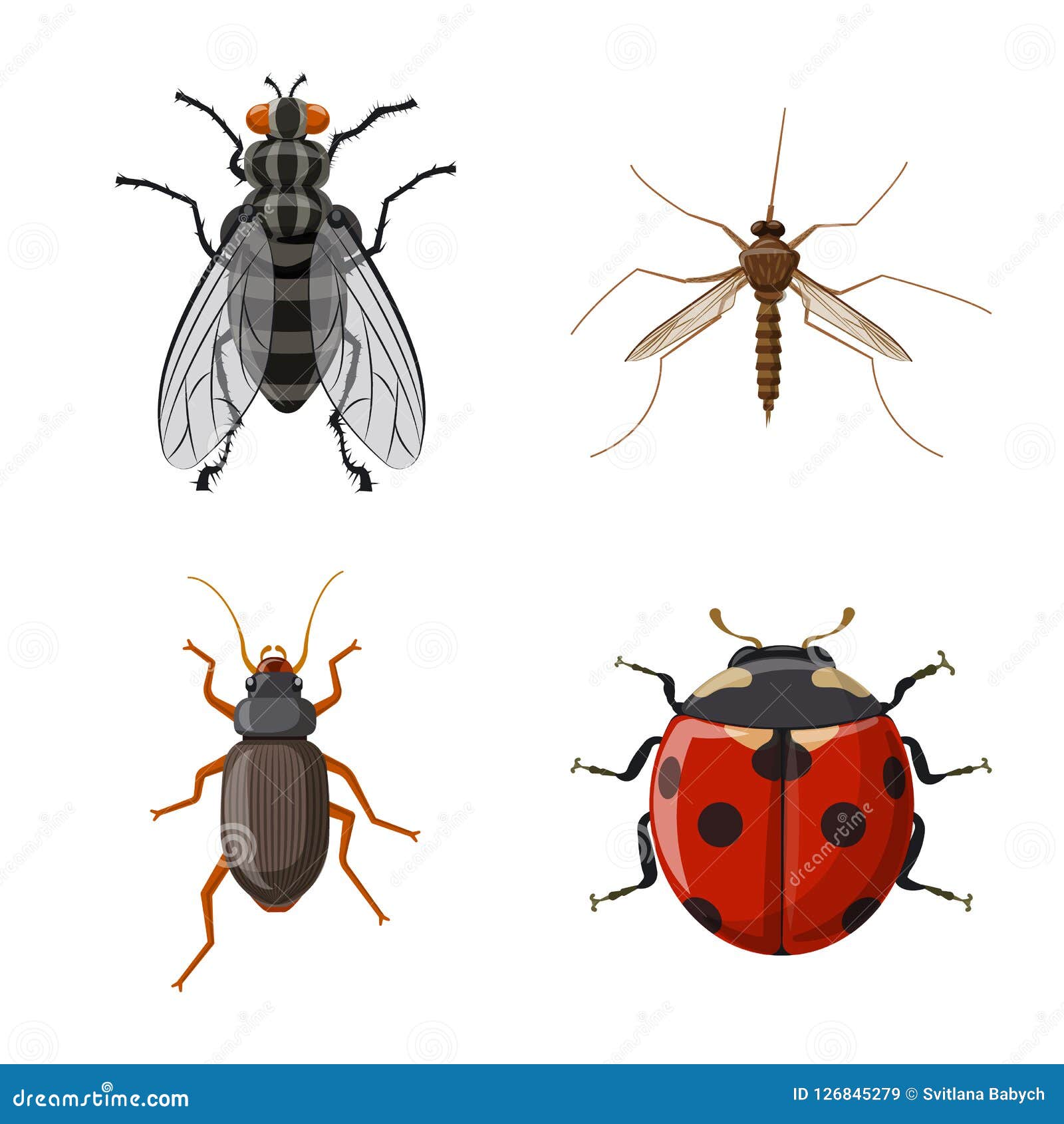 Vector Design of Insect and Fly Icon. Collection of Insect and Element ...
