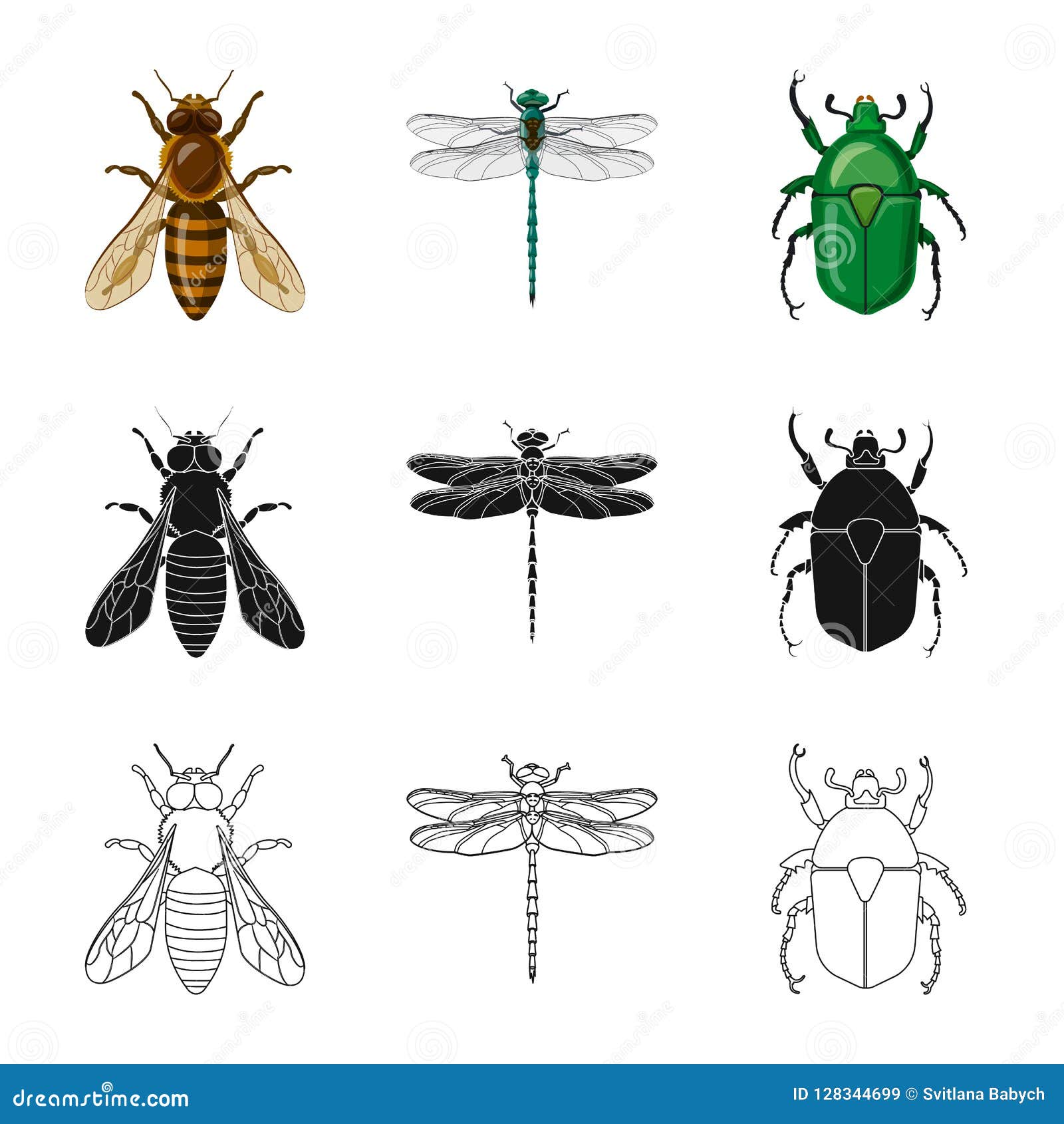 Vector Design of Insect and Fly Icon. Set of Insect and Element Stock ...