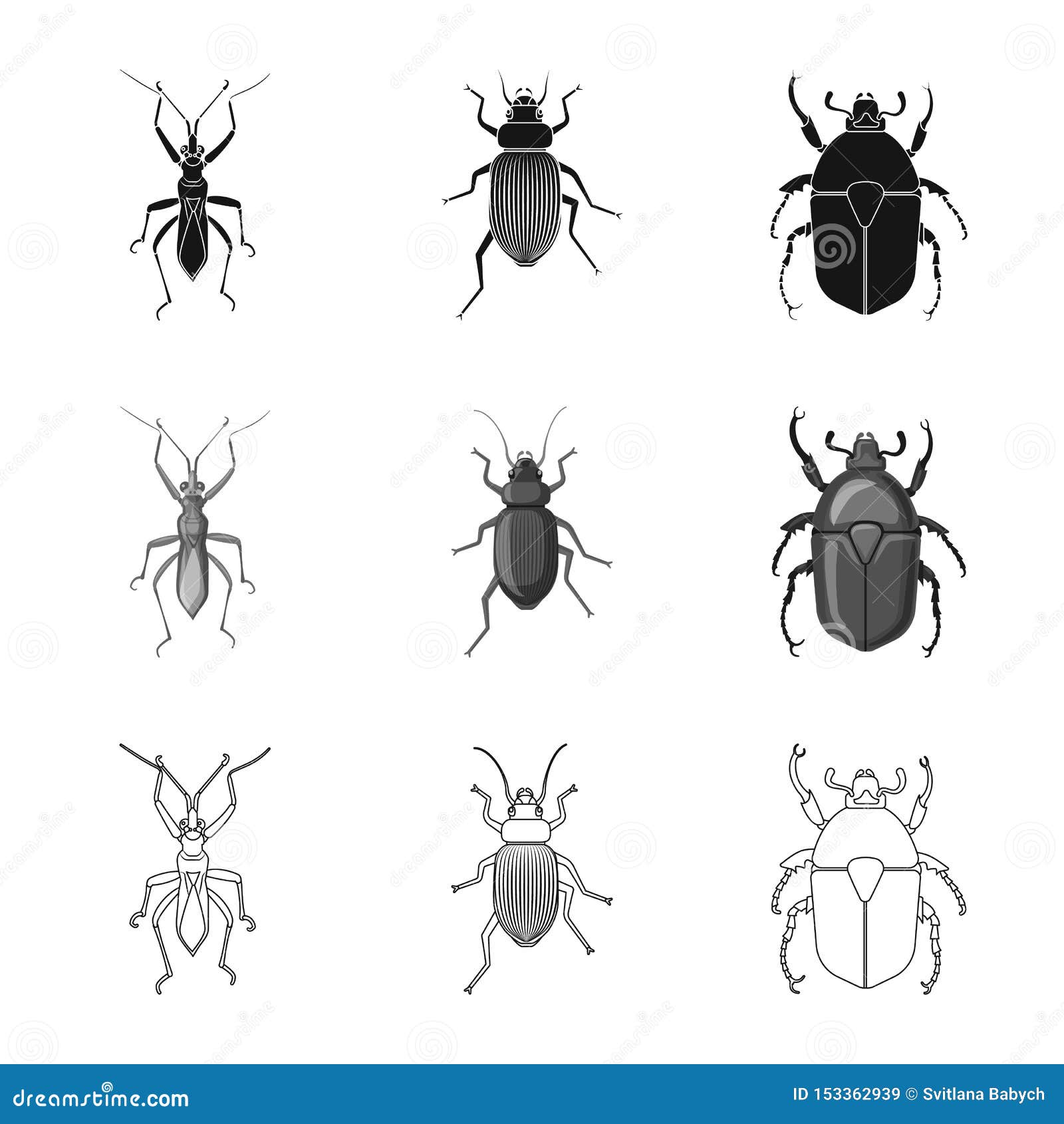 Vector Design of Insect and Fly Logo. Collection of Insect and Element ...
