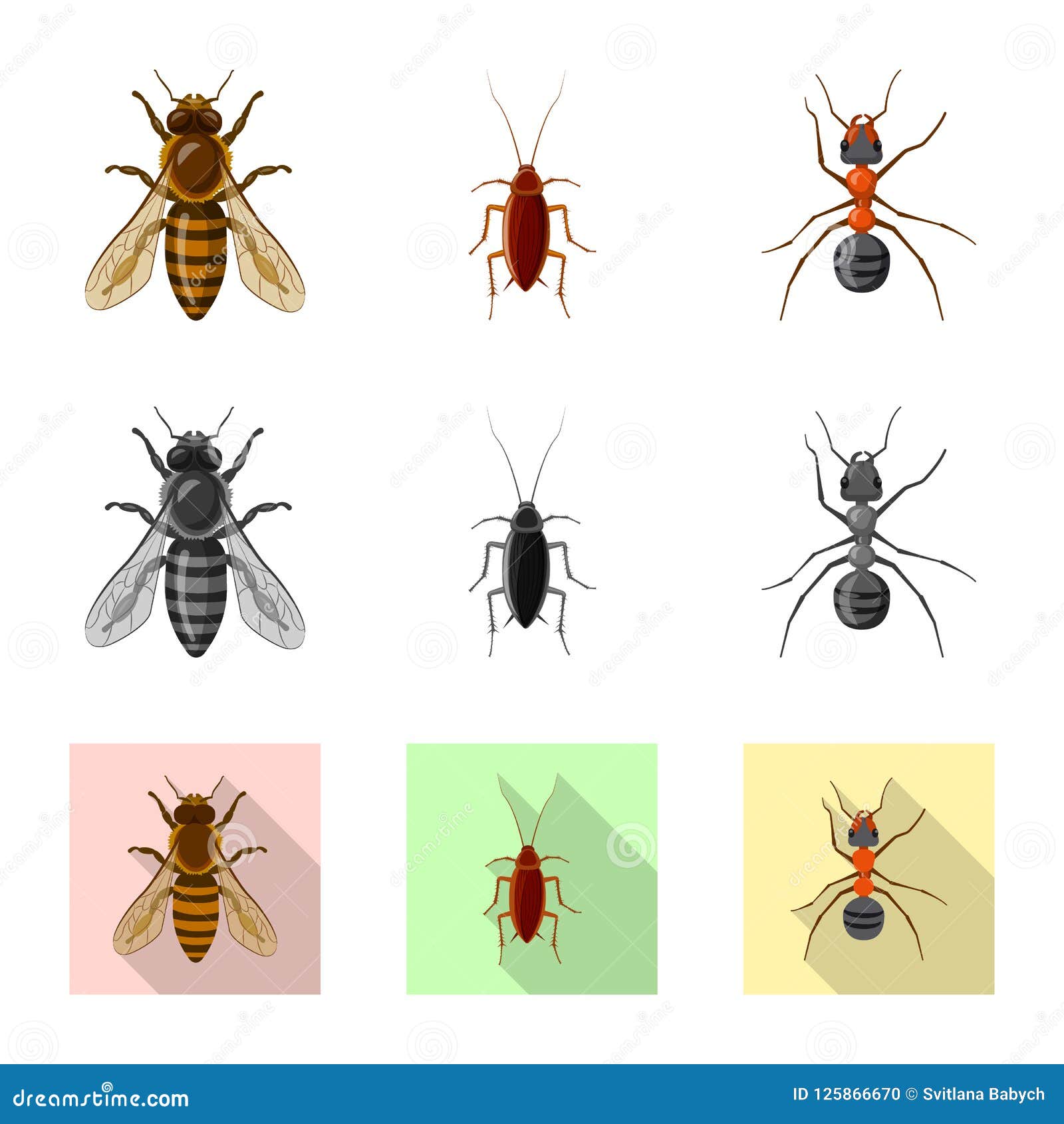 Vector Design of Insect and Fly Logo. Collection of Insect and Element ...