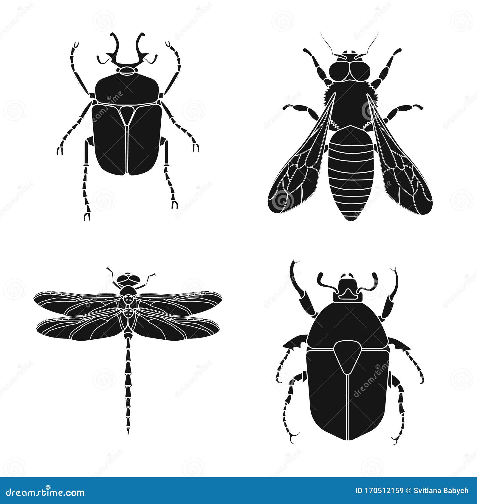 Vector Design of Insect and Fly Logo. Set of Insect and Element Stock ...