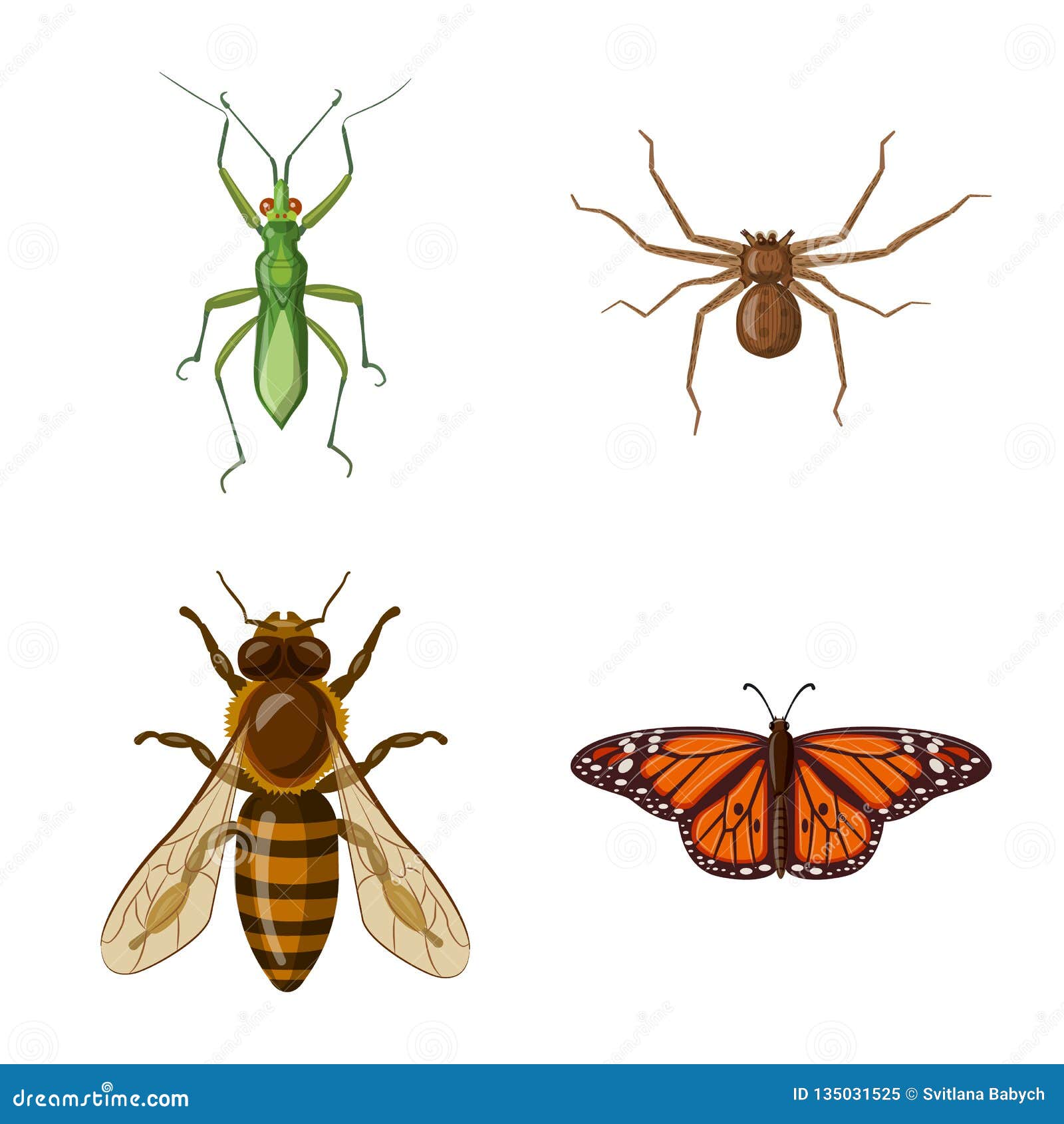 Vector Design of Insect and Fly Logo. Set of Insect and Element Vector ...