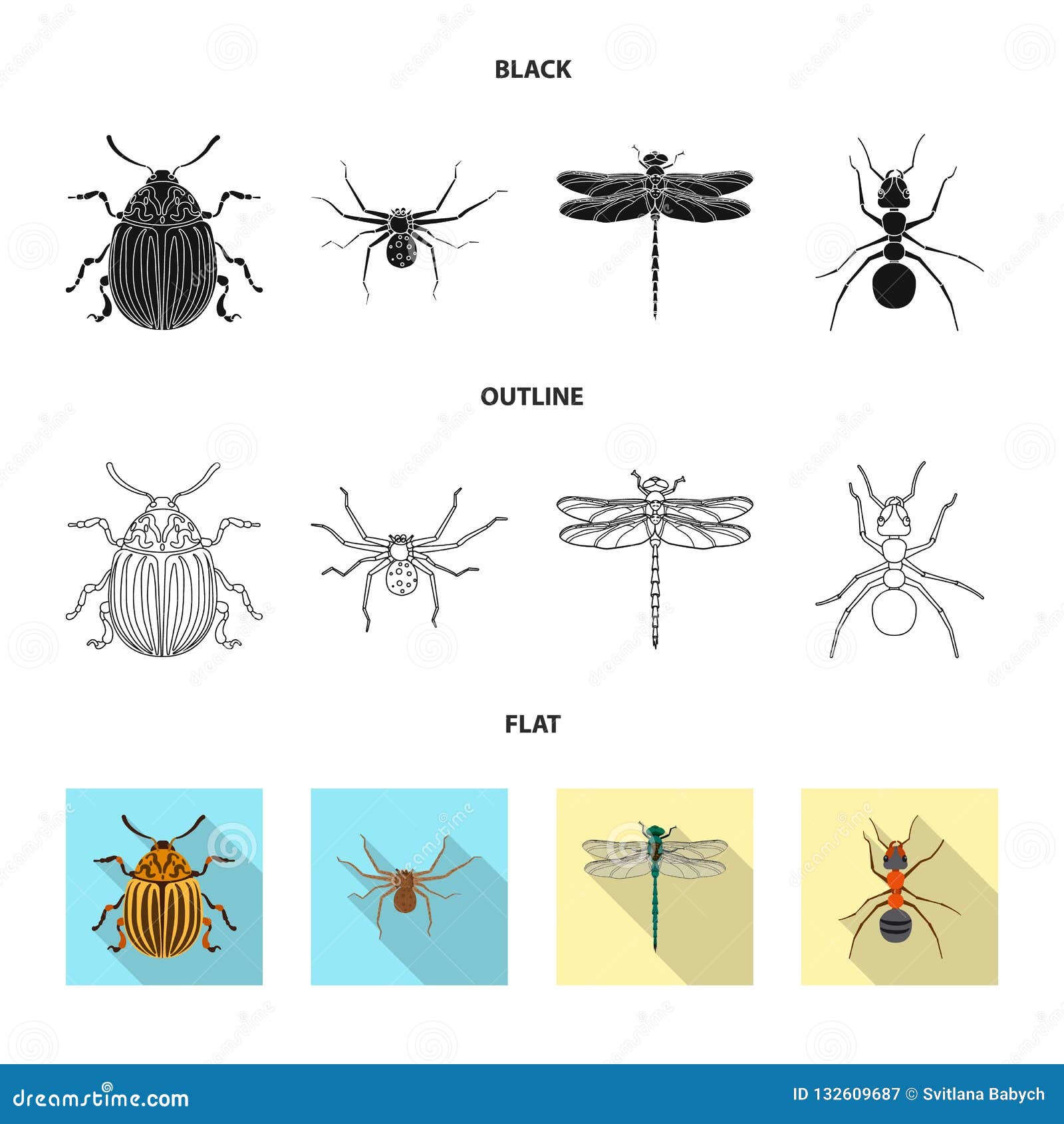 Vector Design of Insect and Fly Sign. Collection of Insect and Element ...