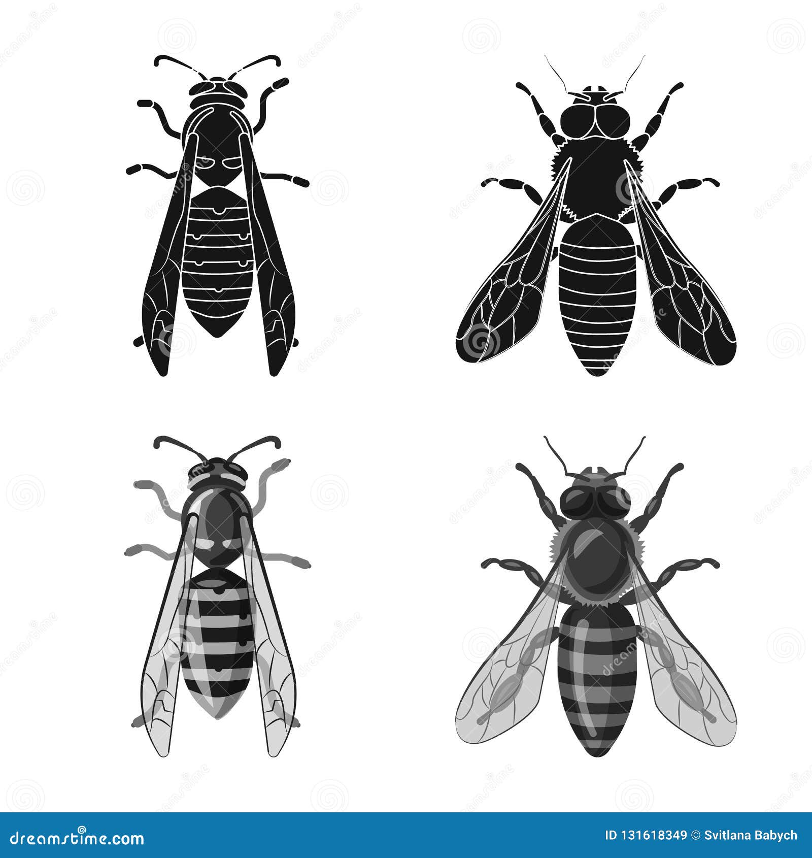 Vector Design of Insect and Fly Sign. Set of Insect and Element Stock ...