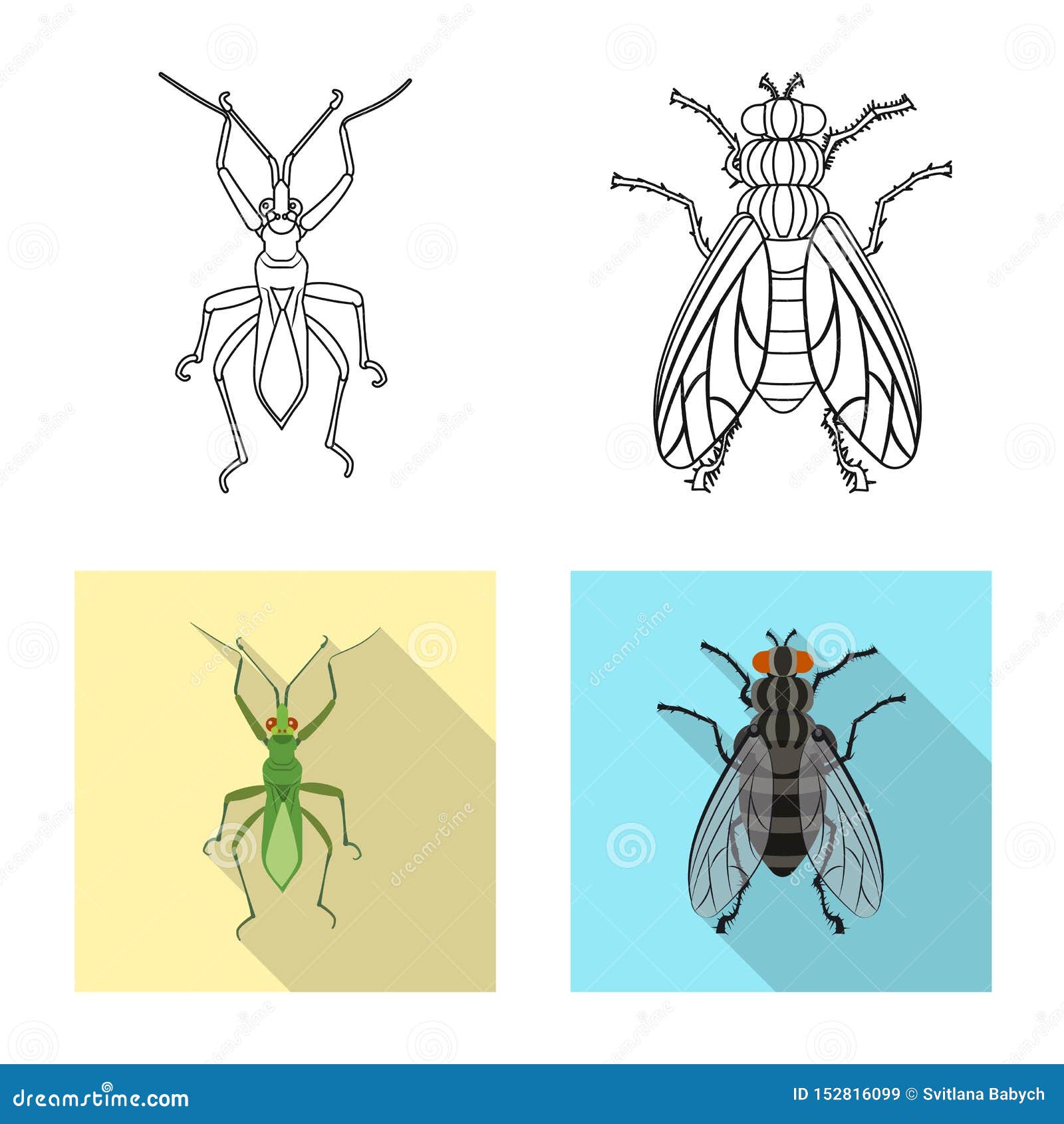 Isolated Object of Insect and Fly Icon. Collection of Insect and ...