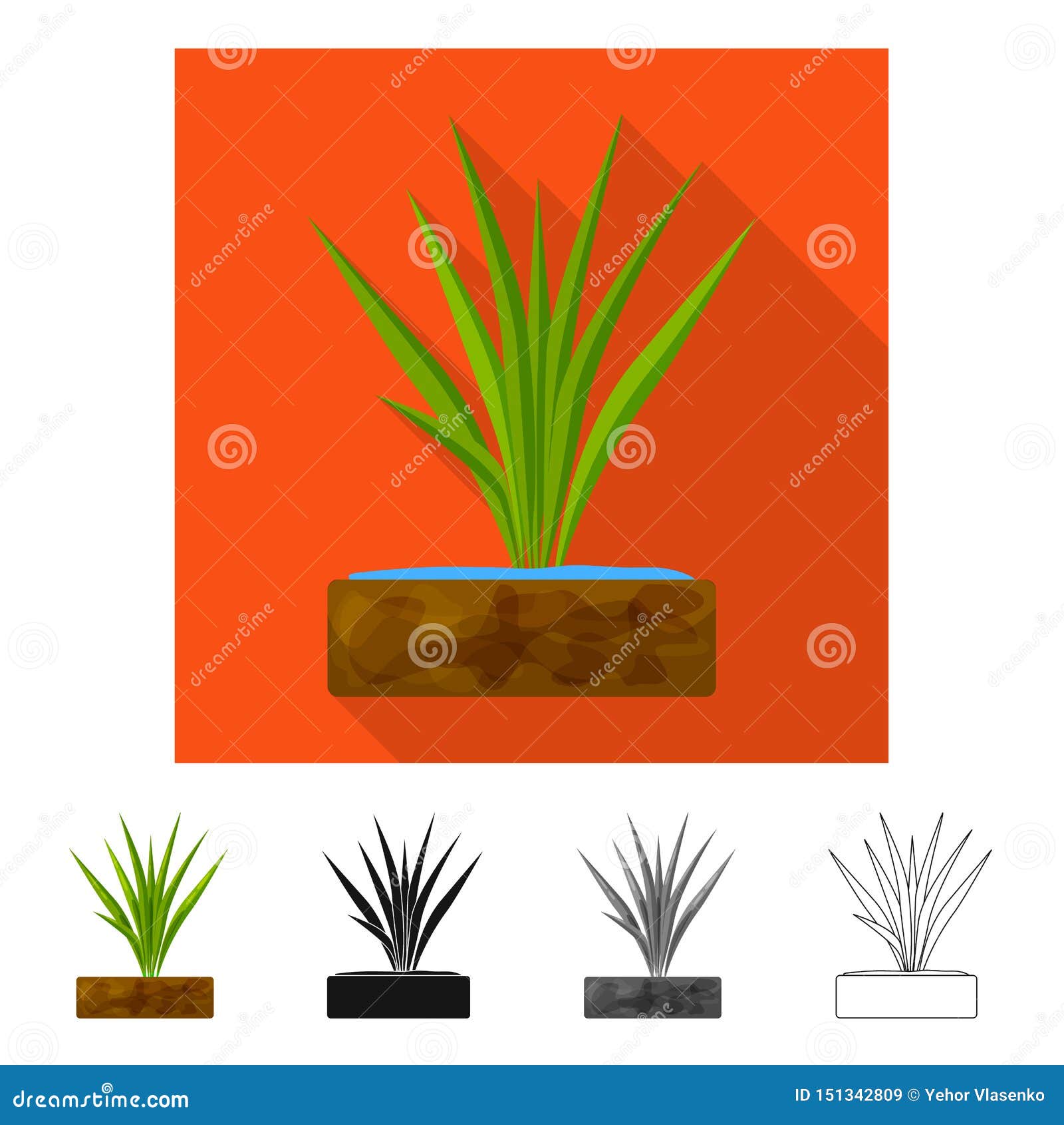 Isolated Object of Panicle and Rice Symbol. Collection of Panicle and ...