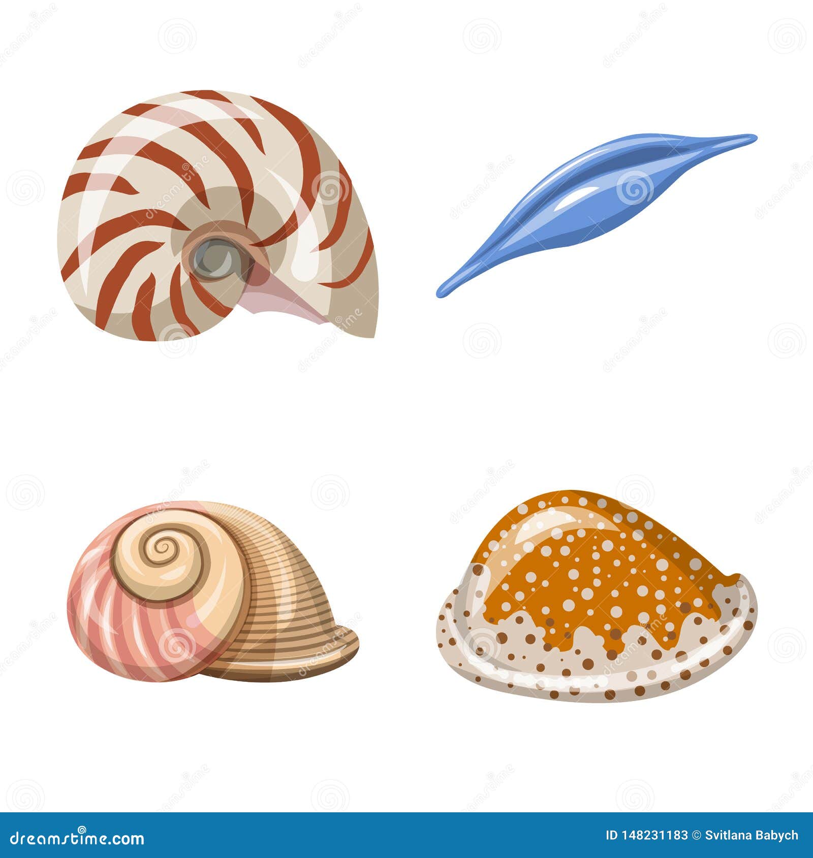Vector Design of Seashell and Mollusk Icon. Set of Seashell and Seafood ...