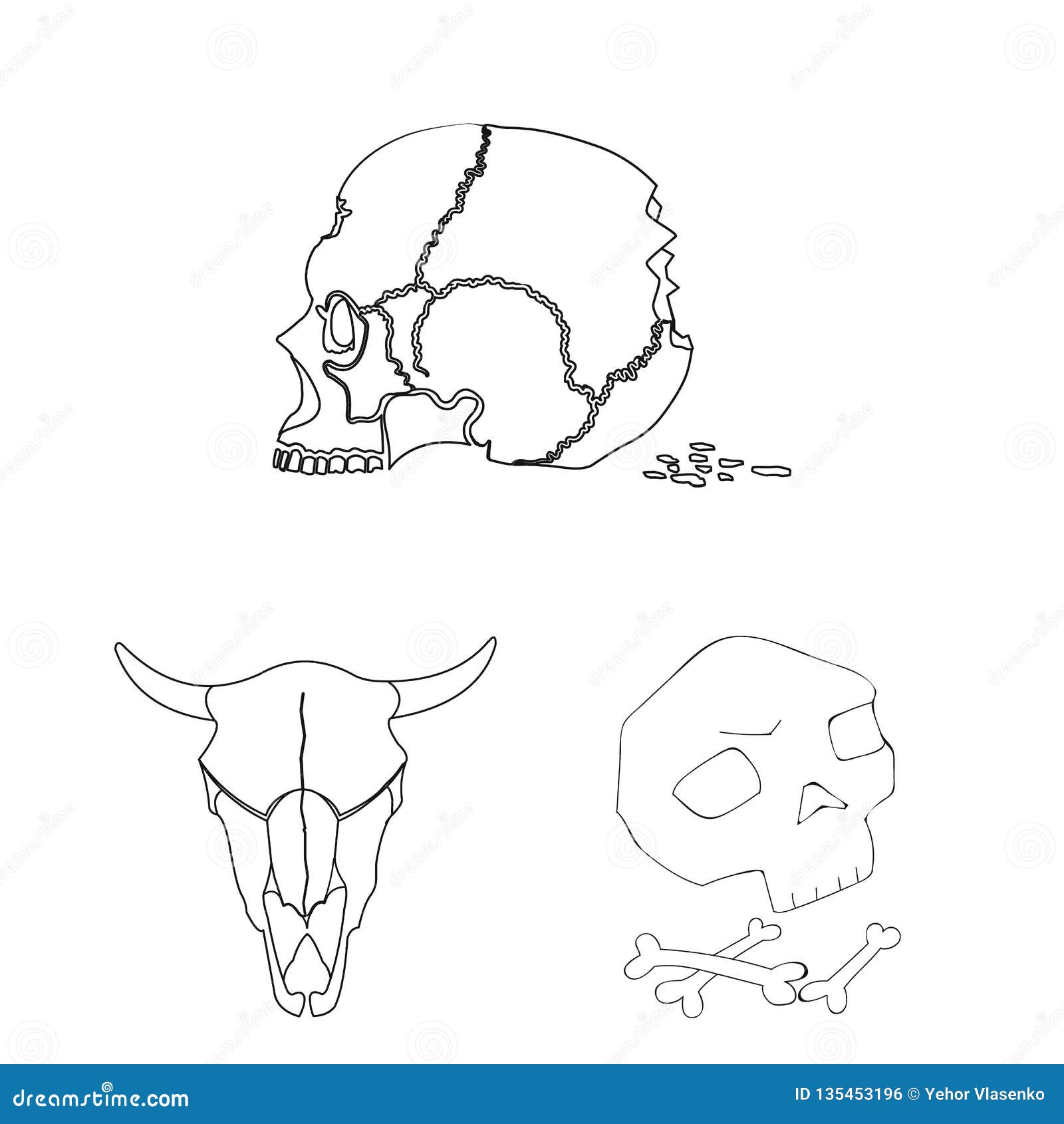 Vector Design of Skeleton and Character Symbol. Set of Skeleton and ...