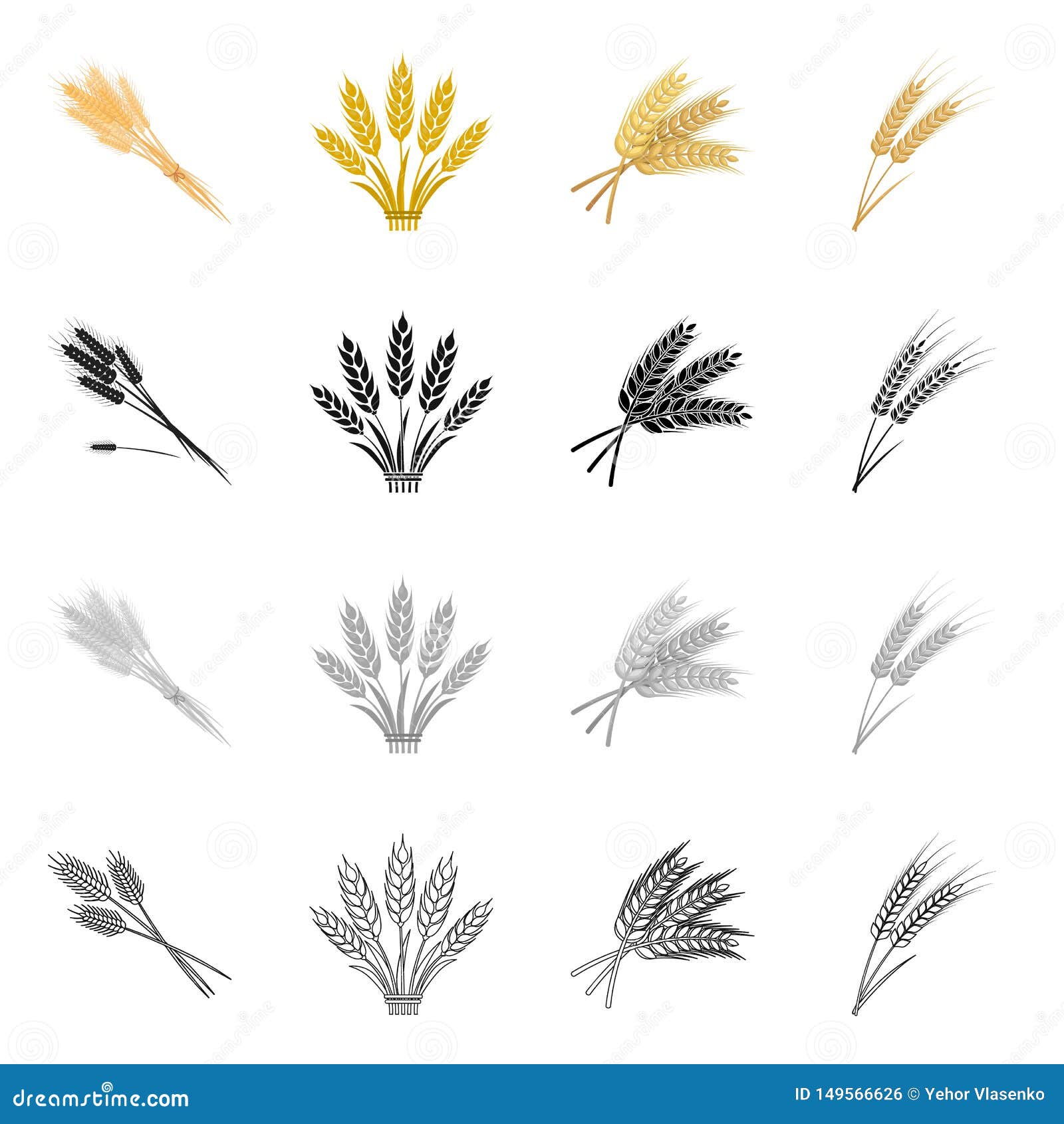 Isolated Object of Wheat and Stalk Logo. Collection of Wheat and Grain ...