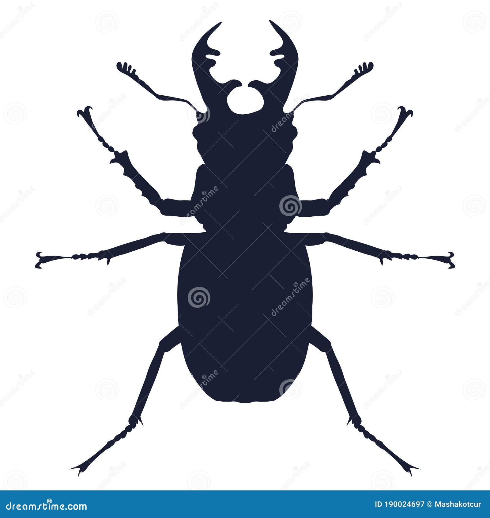 Deer Beetle. Side View. Drawing With Black Lines, Marker, Line Art ...
